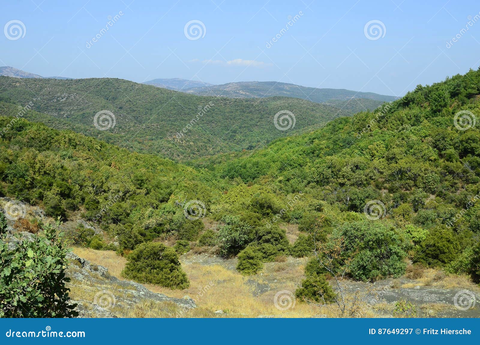 Greece, Dadia stock image. Image of landscape, forest - 87649297
