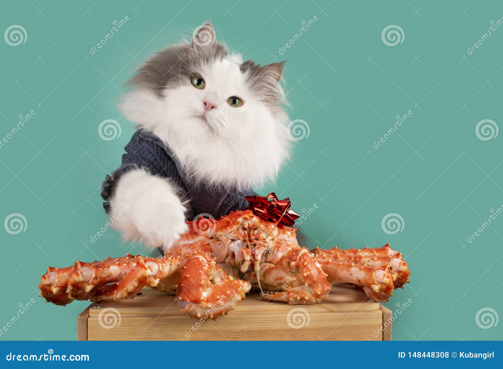 Greedy Cat Does Not Want To Share the Crab Stock Photo - Image of share ...