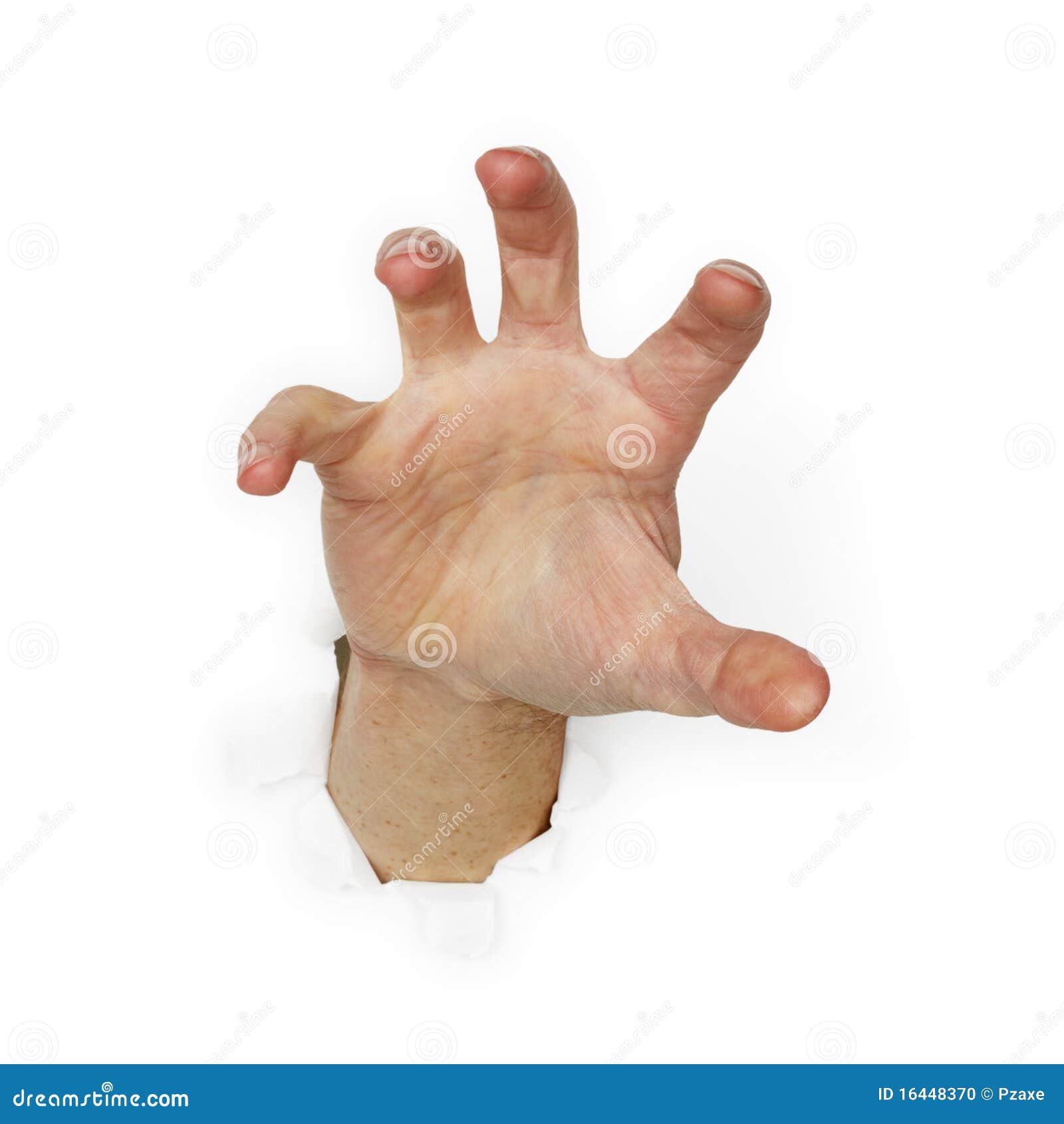 Greedy Hand Isolated on White Stock Photo - Image of isolated, white ...