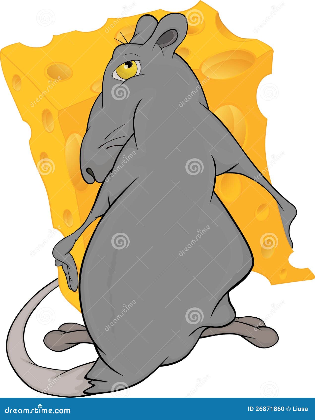 Greedy Rat and Cheese Piece Stock Vector - Illustration of haughty ...
