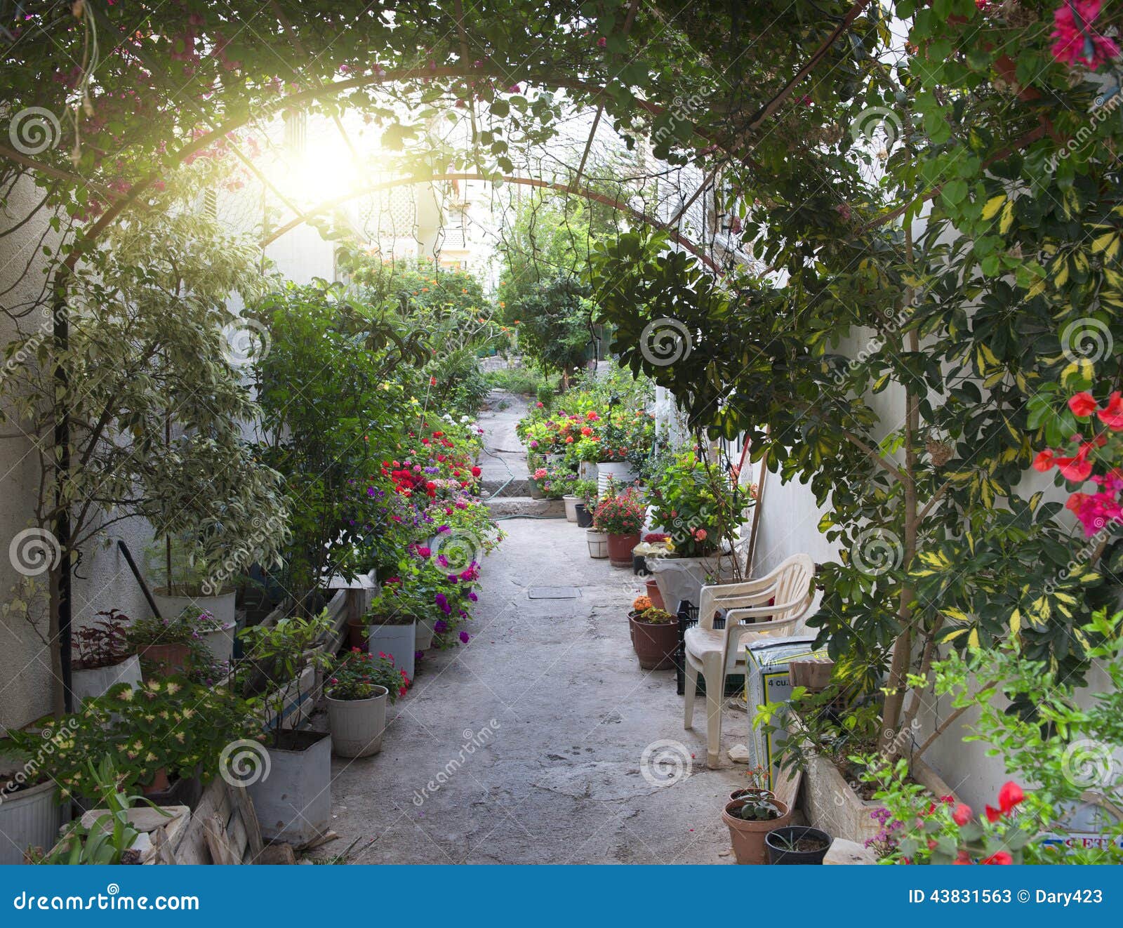 Greek courtyard stock image. Image of front, foliage - 43831563