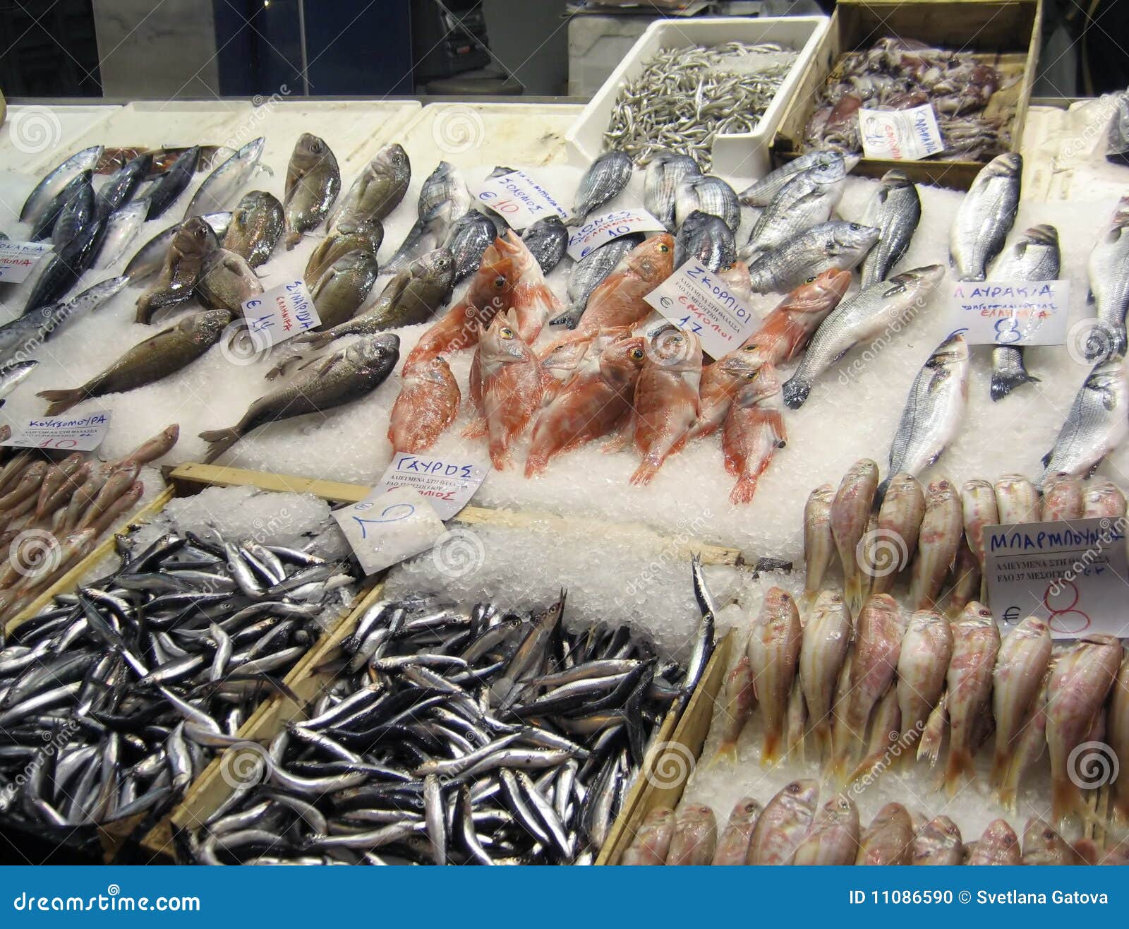 Greek fish market stock photo. Image of sale, fishing - 11086590