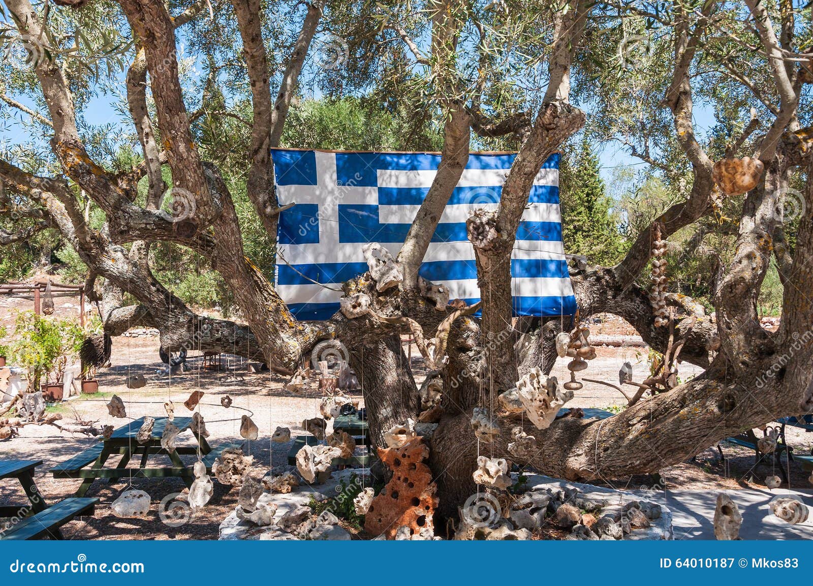 Greek Flag among the Trees Branches Stock Image - Image of stripes ...