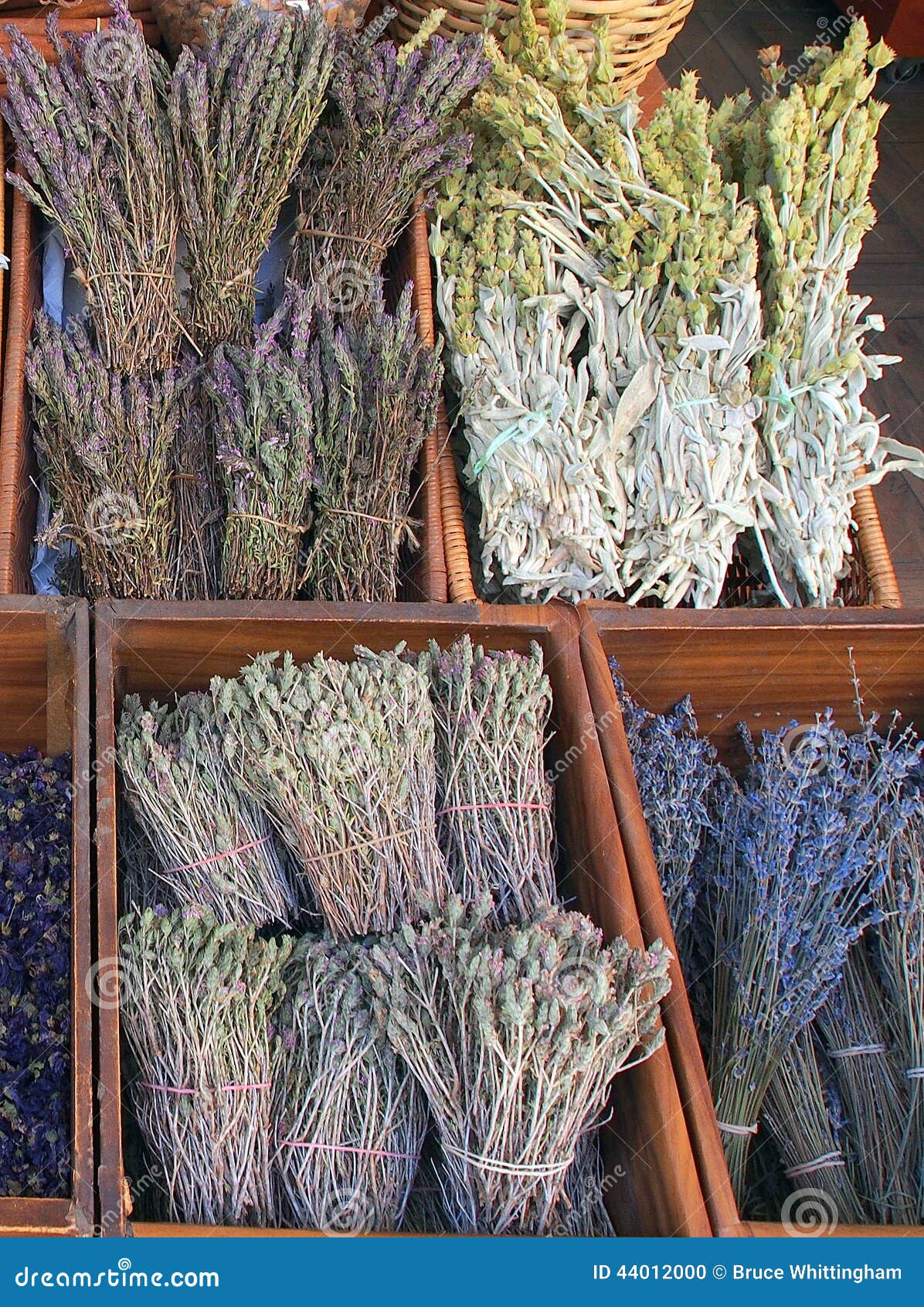 Greek Herbal Tea stock photo. Image of central, athens - 44012000