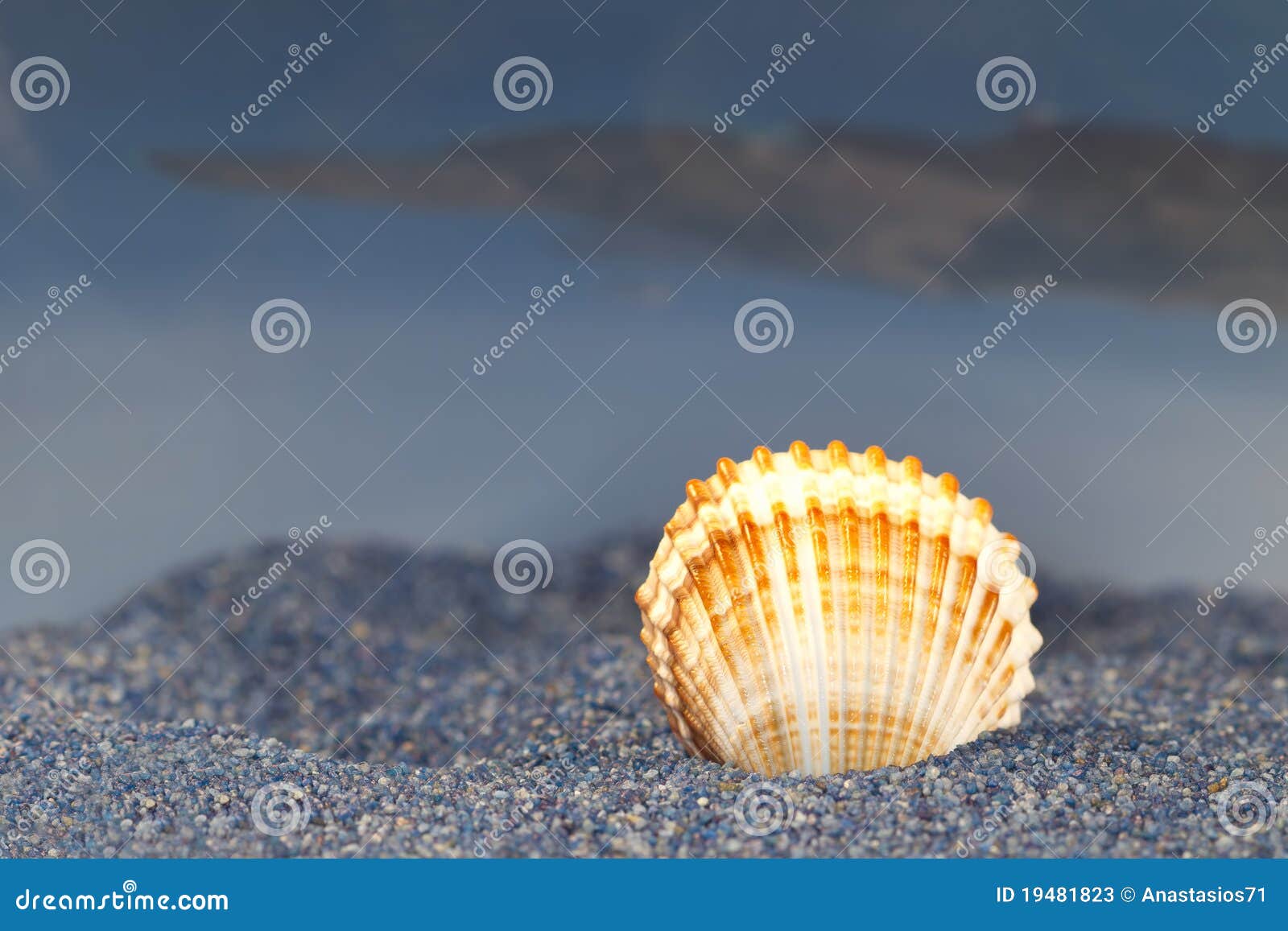 Greek Island ,seashells and Oysters Stock Image - Image of color ...