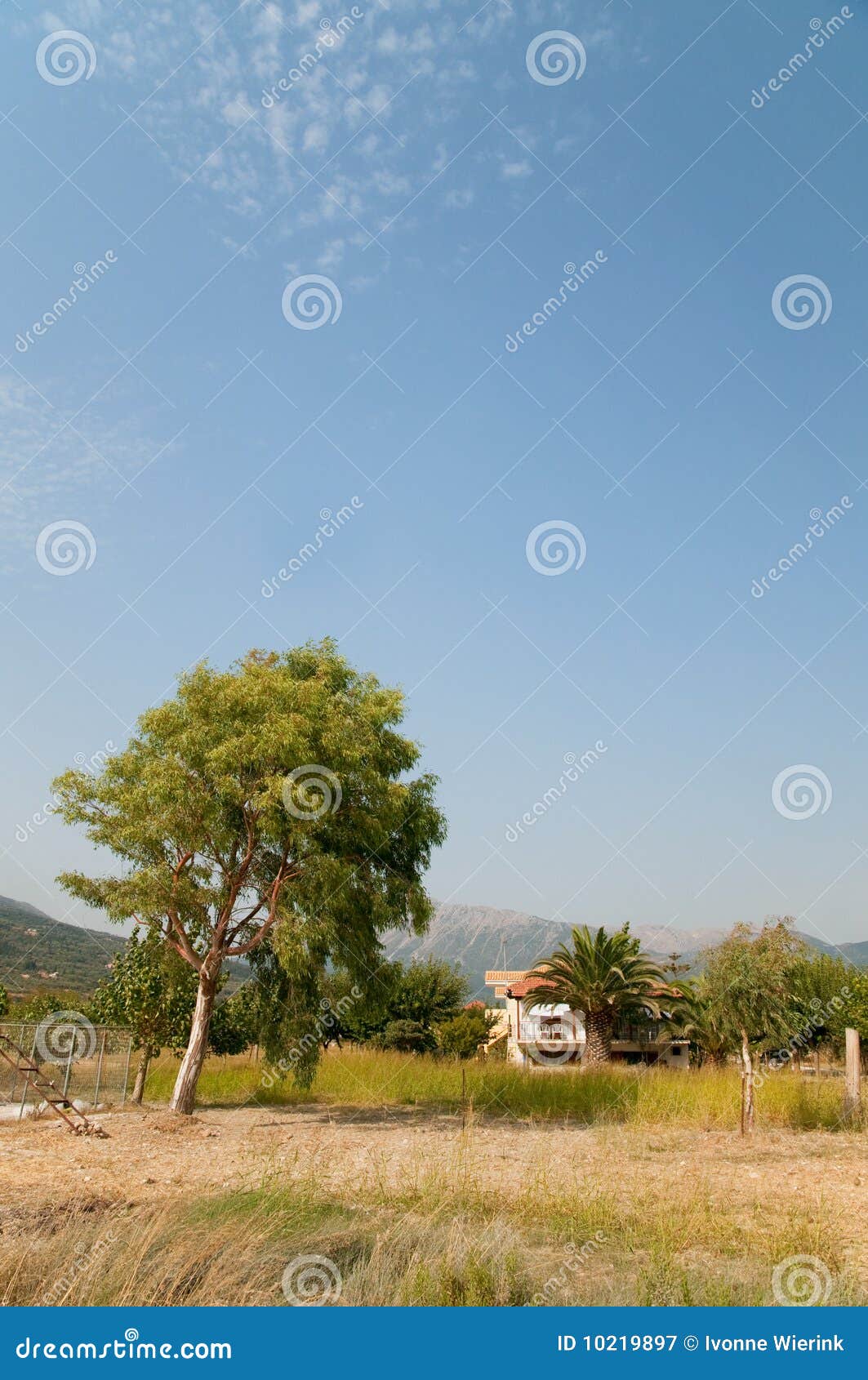 Greek Landscape with House and Tree Stock Image - Image of nature ...