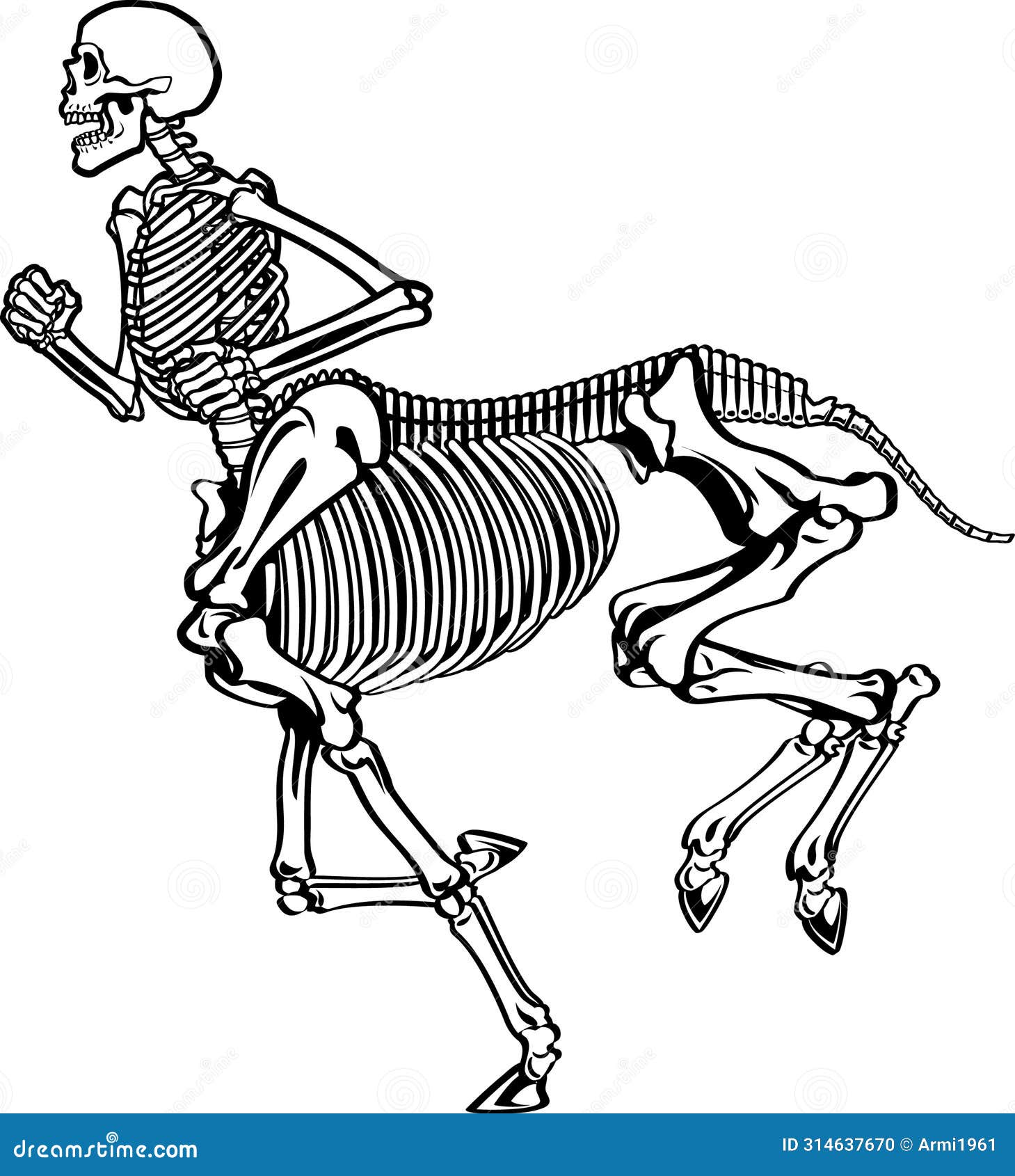Greek Mythology Centaur Skeleton Stock Vector - Illustration of tattoo ...