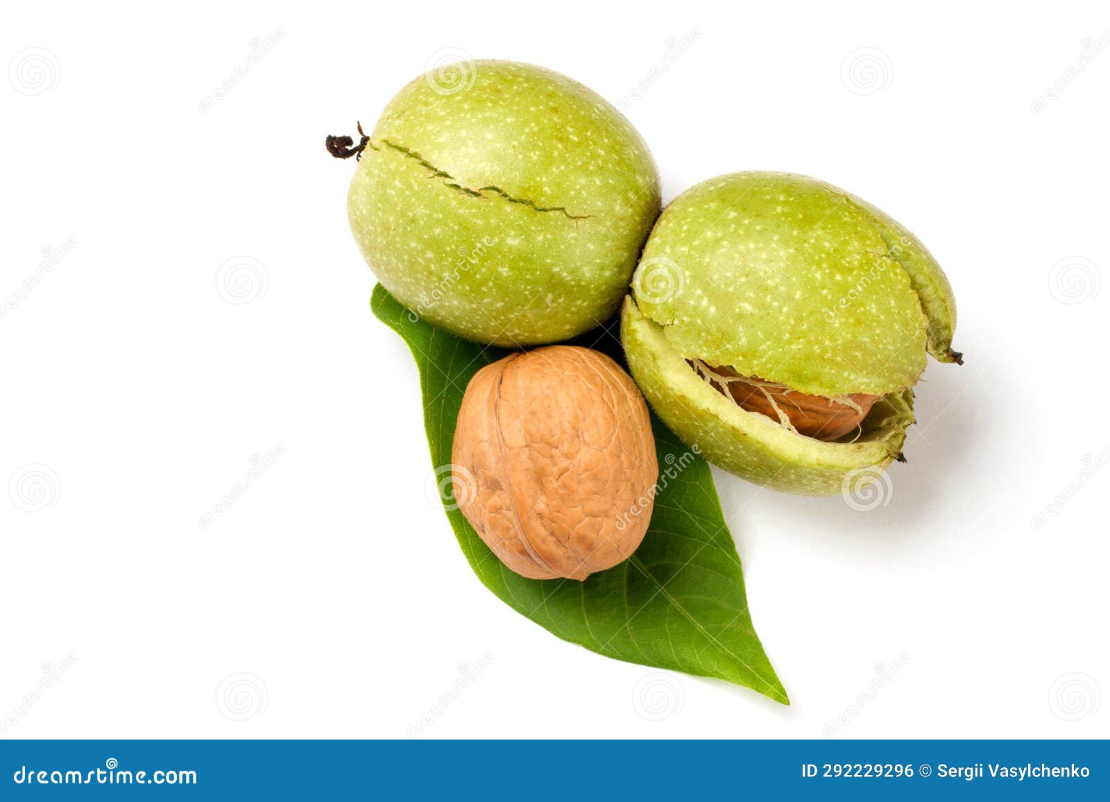 Greek Nuts in the Peel with Leaves on a White Background. Stock Photo ...