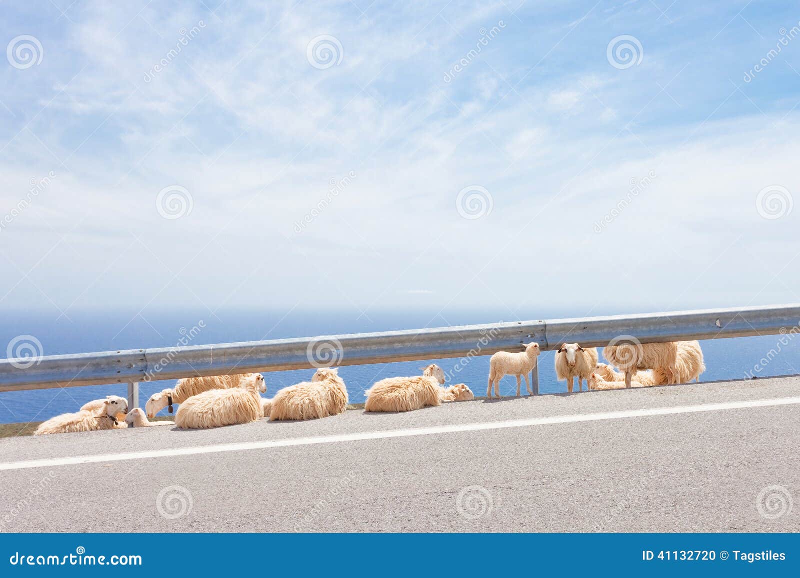 A greek sheep herd stock photo. Image of summer, idyllic - 41132720