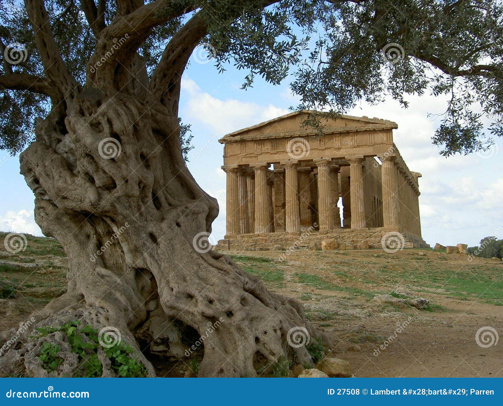 Greek Temple & Olive Tree Stock Photo - Image of agrigento, ancient: 27508