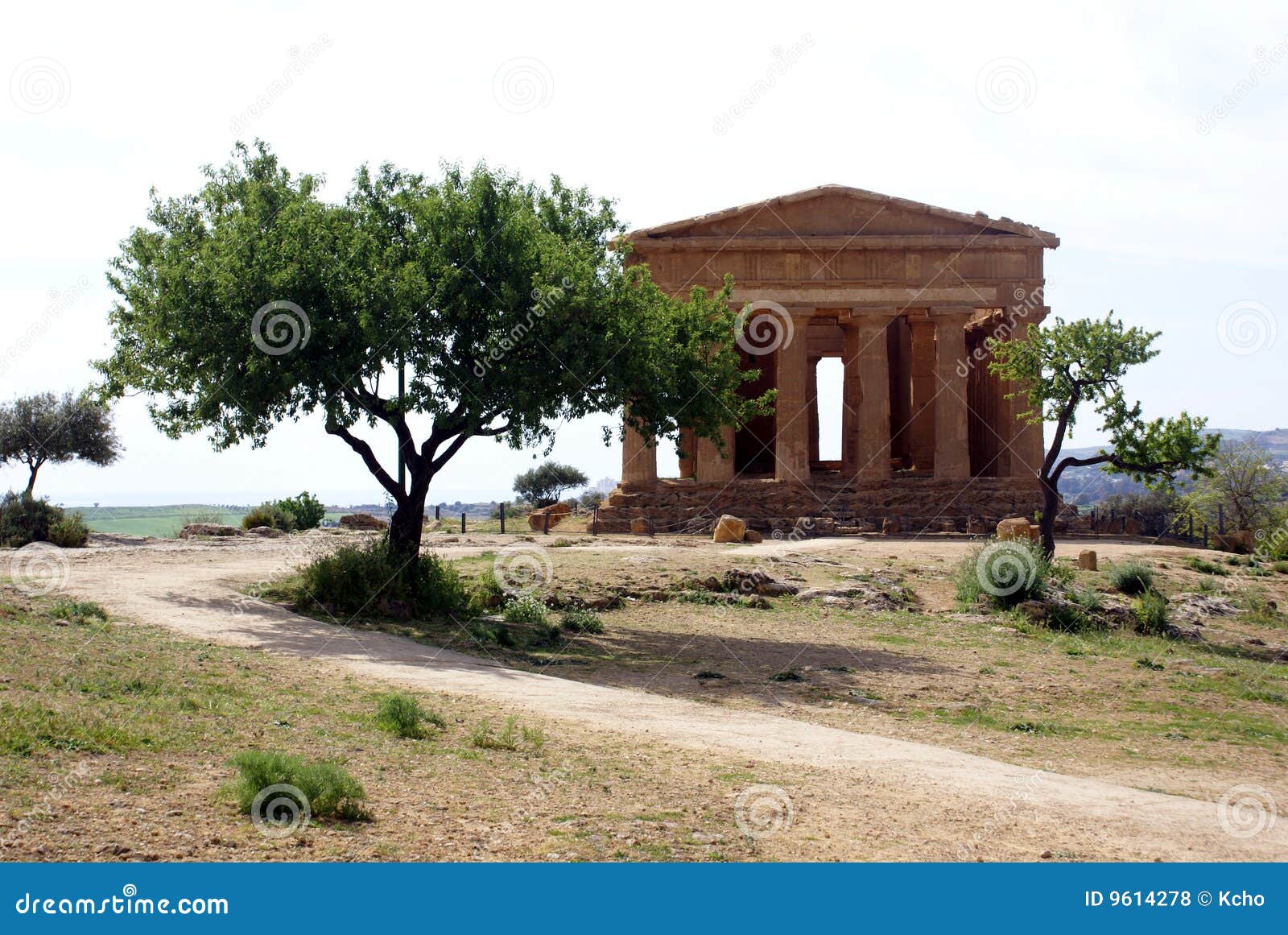 Greek Temple & Olive Tree Stock Photo - Image of tree, architecture ...
