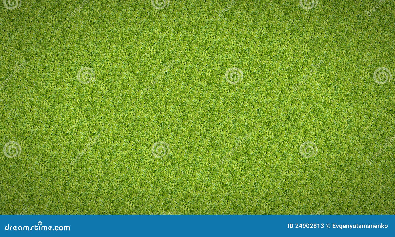 Green Abstract Background Texture of Grass Stock Image - Image of ...