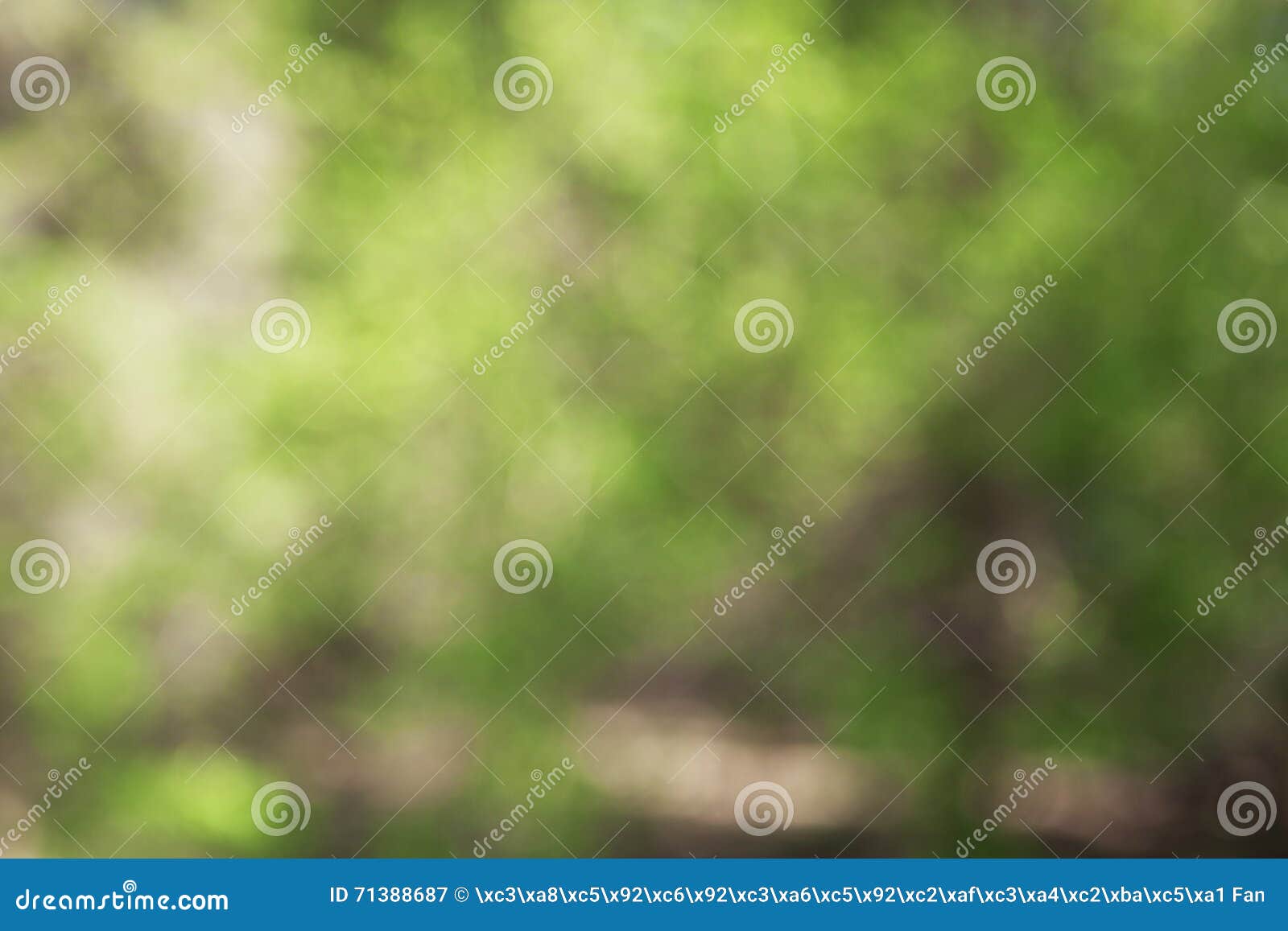 Green Abstract Forest Nature Background Stock Image - Image of sunny ...