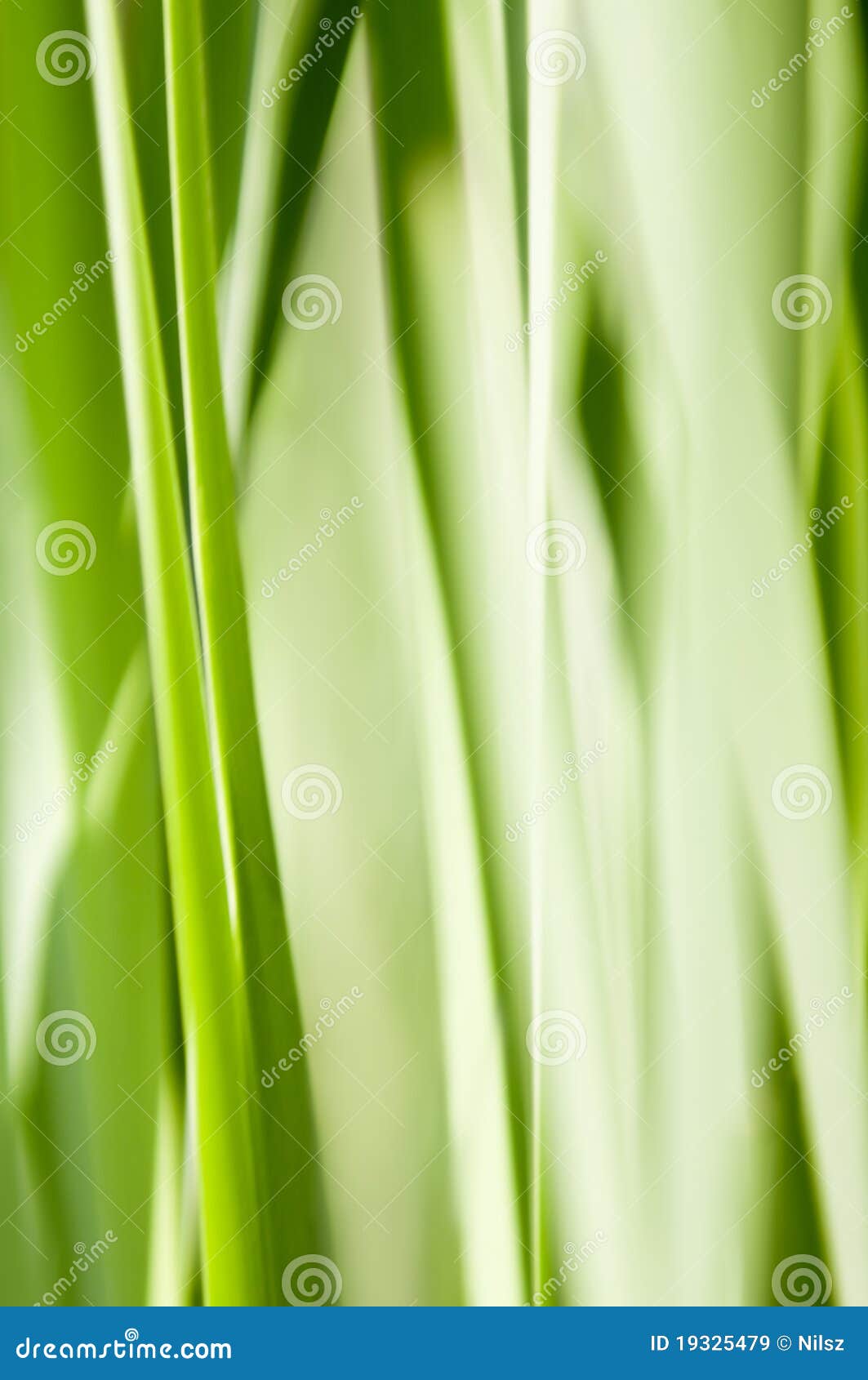 Green abstract grass stock image. Image of shape, environment - 19325479