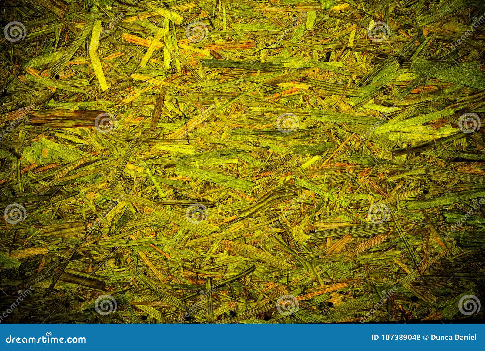 Green Abstract Organic Texture Background Stock Photo - Image of ...