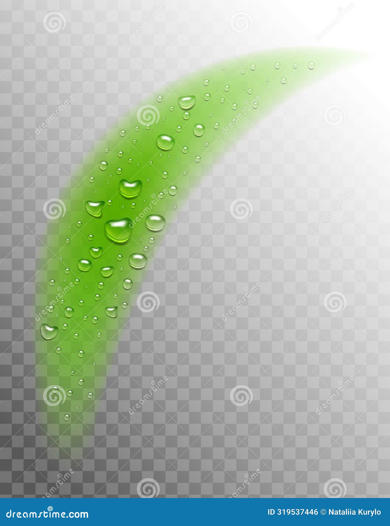 Green Abstract Wave with Realistic Water Drops, on Transparent ...