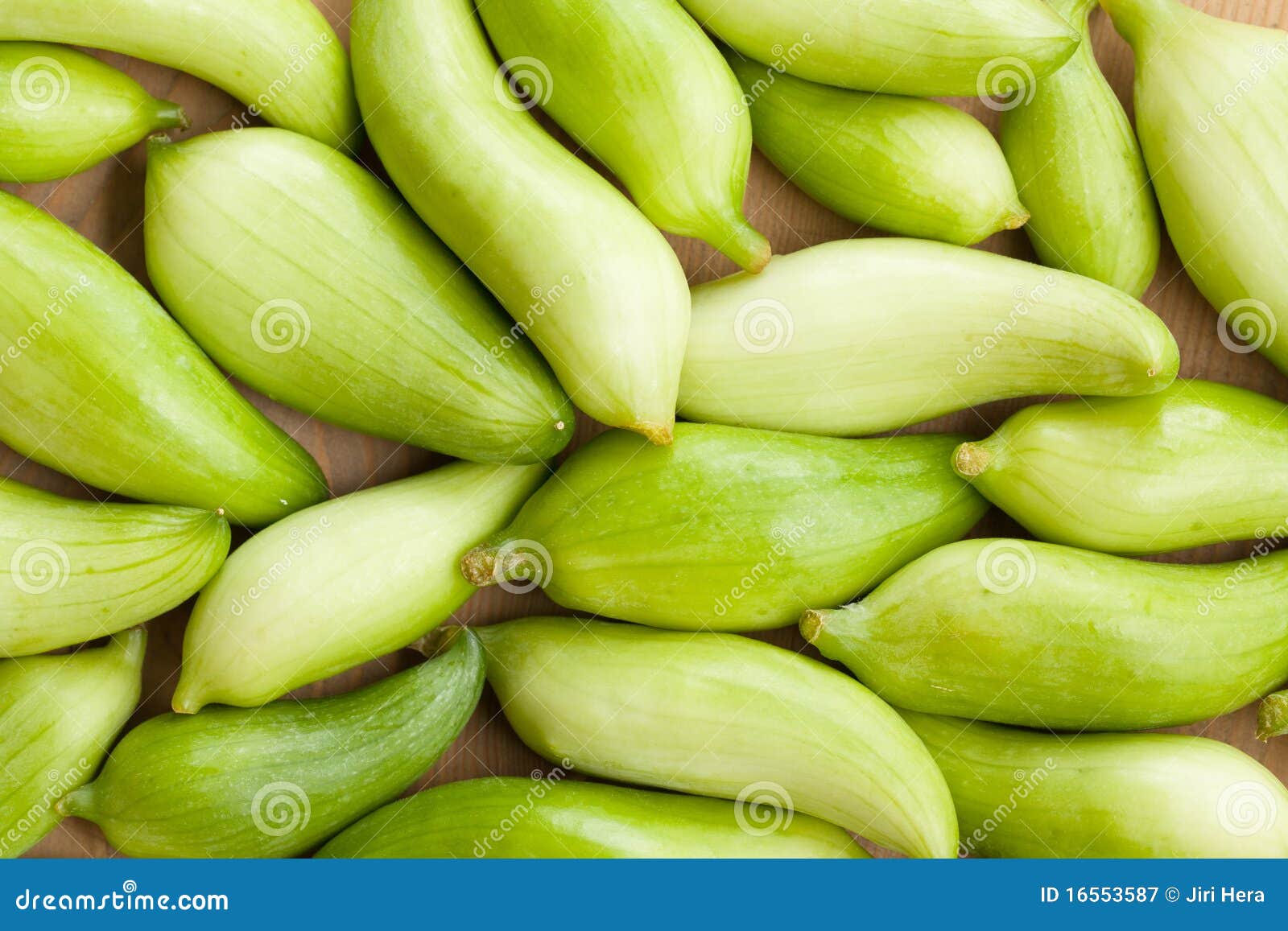 Green achocha stock image. Image of food, cayua, achocha - 16553587