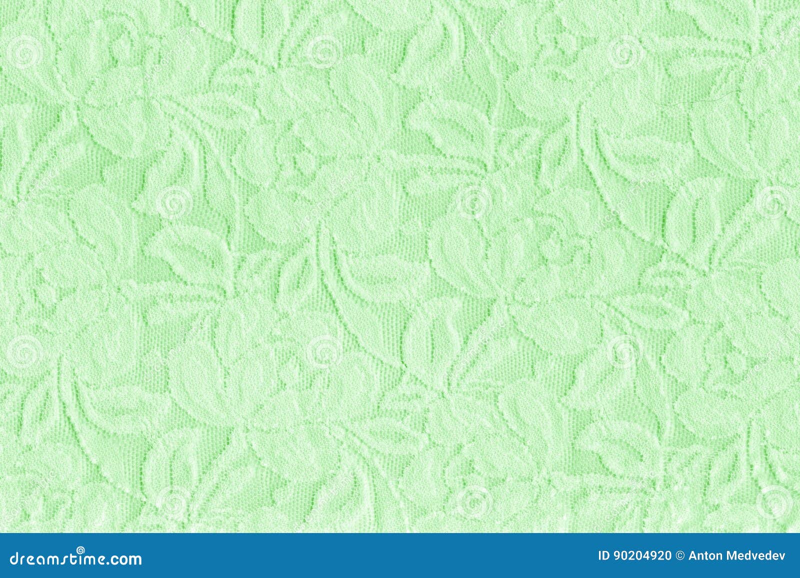 Bamboo Leaf Green Color Pictures And Images - RGB Color Hex Code [# ...