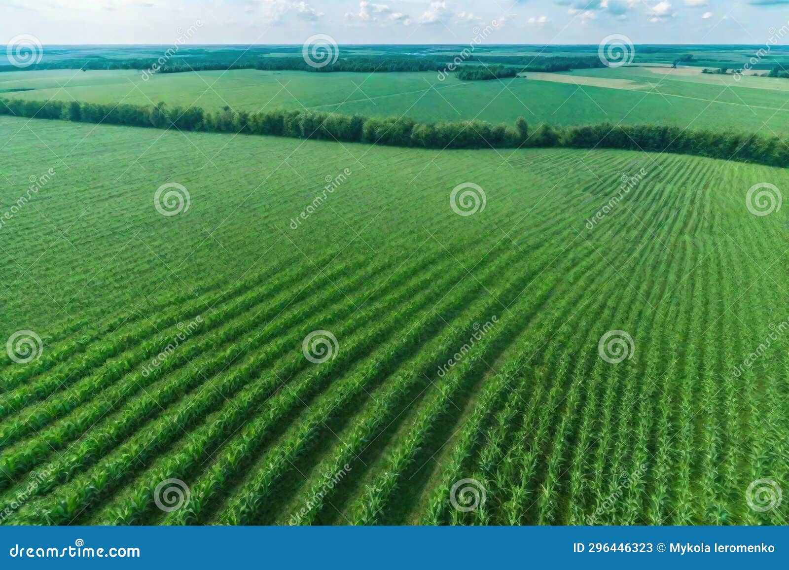 A Green Agricultural Field from a Bird S Eye View. Stock Image - Image ...