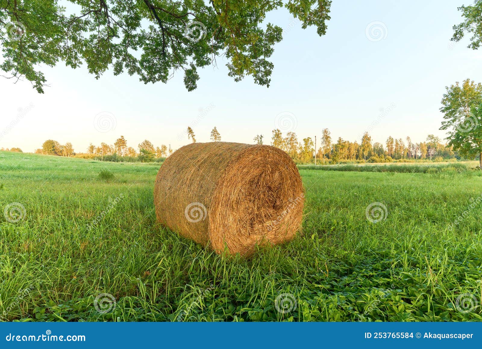 Green Agricultural Field with Haystack Stock Photo - Image of road ...