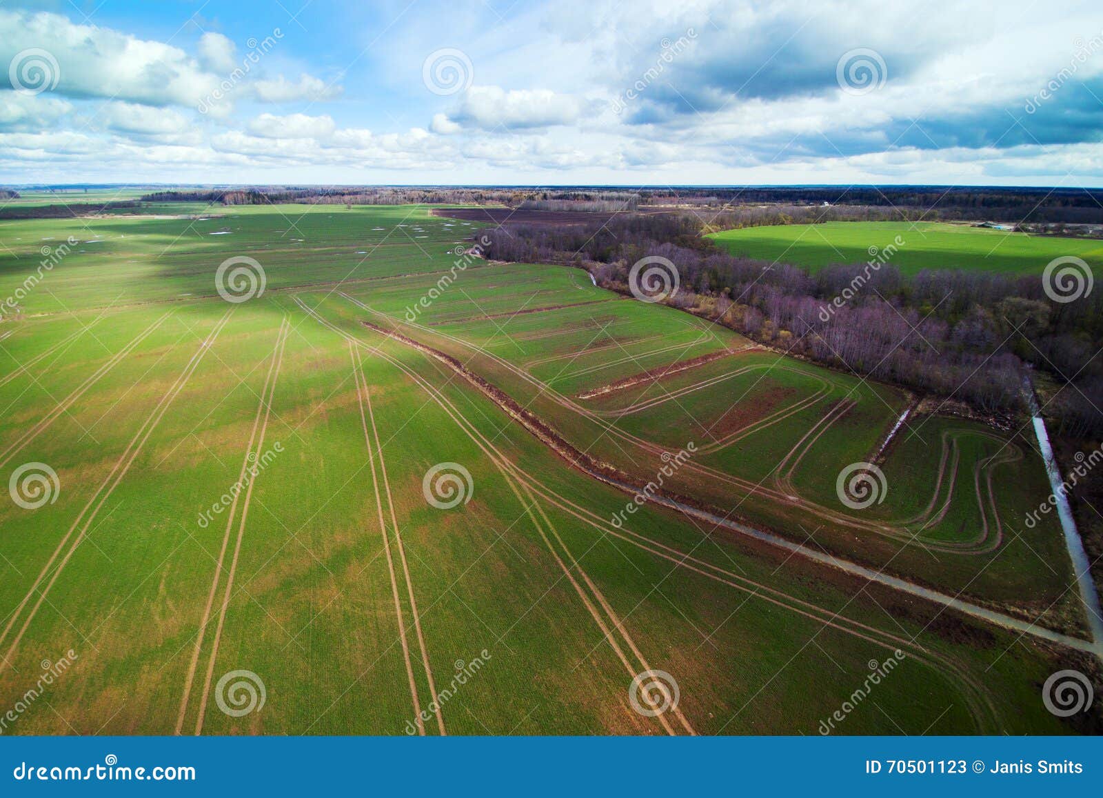 Green agricultural field. stock image. Image of flora - 70501123