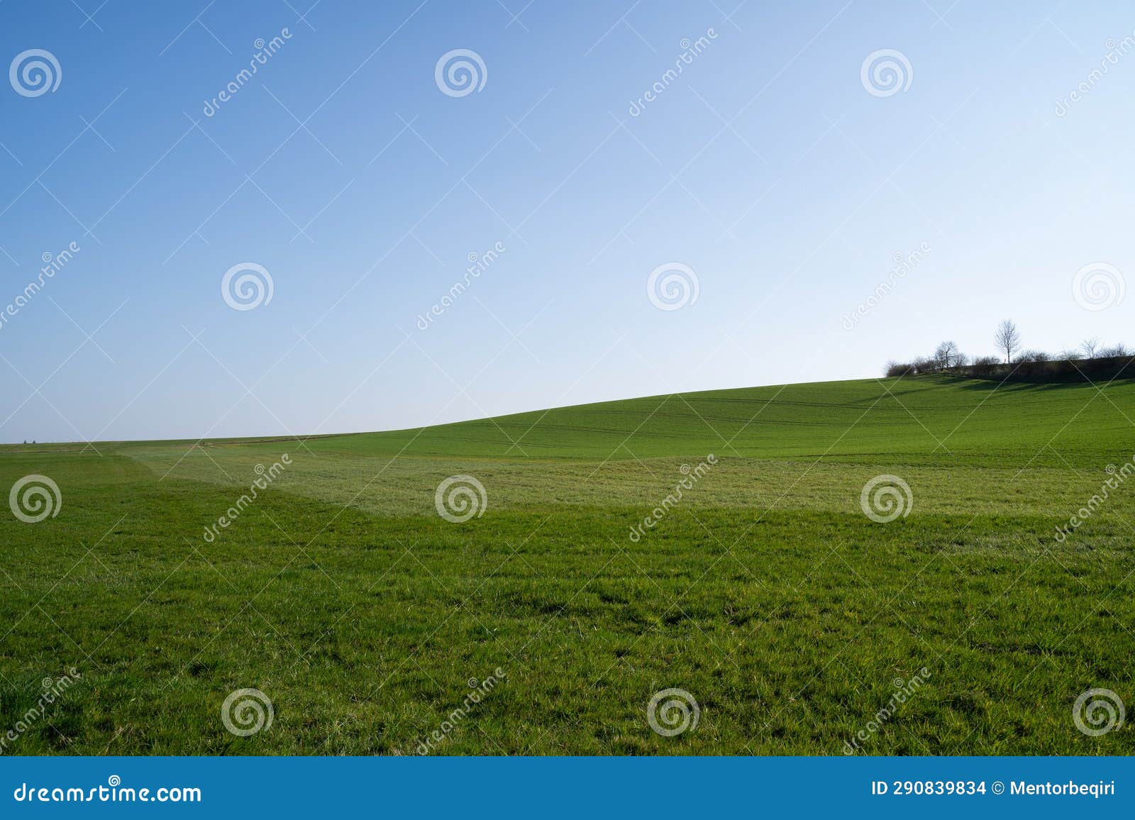 Agriculture Hill with Growing Crop and Grass in Spring Stock Photo ...