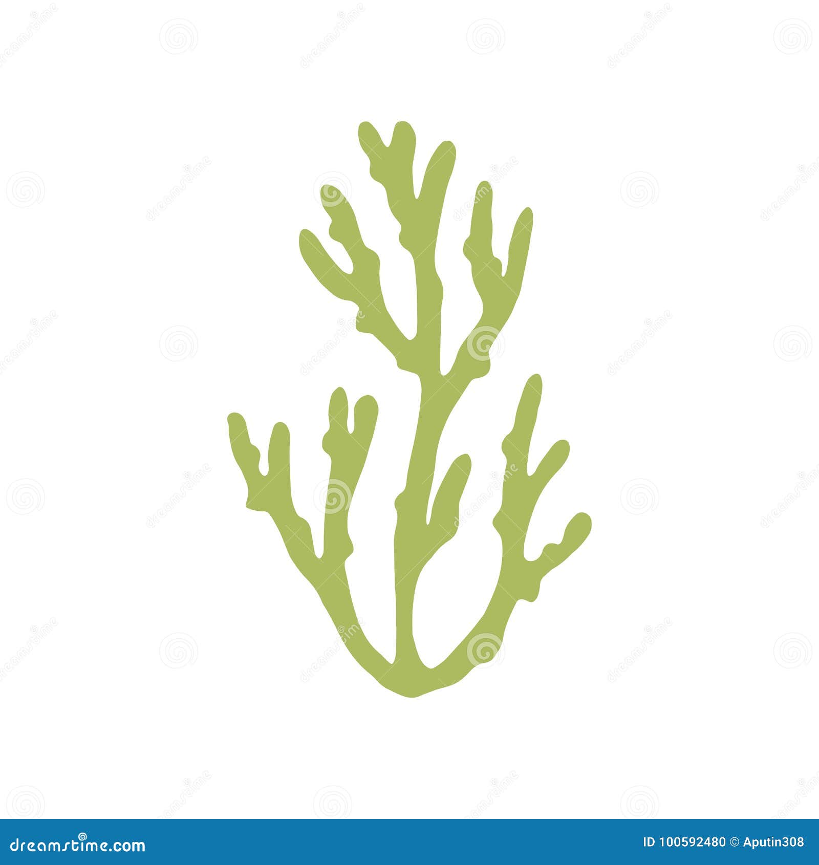 Green Alga Vector Icon Isolated Stock Vector - Illustration of seaweed ...