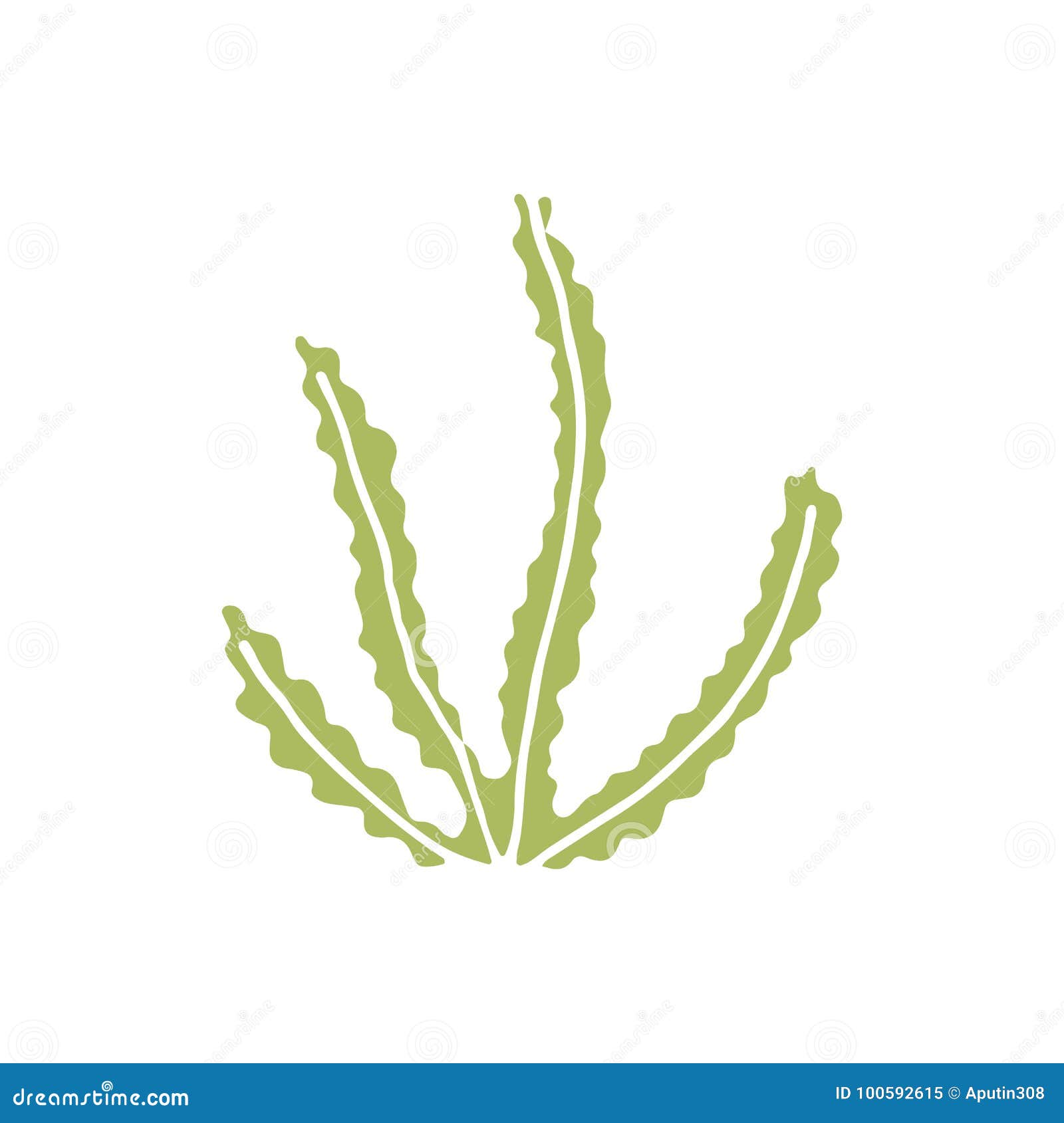 Green Alga Vector Icon Isolated Stock Vector - Illustration of plant ...