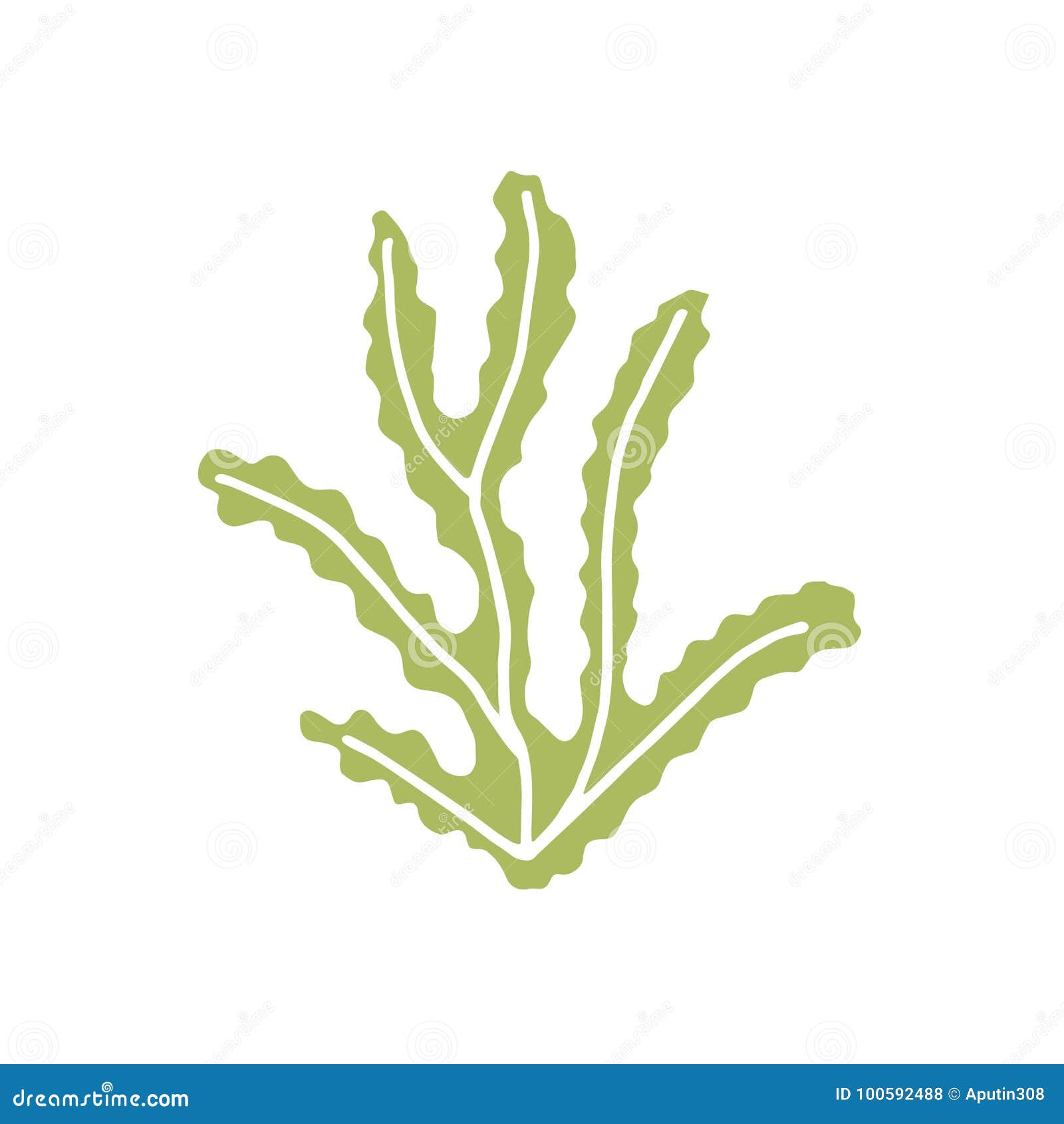 Green Alga Vector Icon Isolated Stock Vector - Illustration of alga ...
