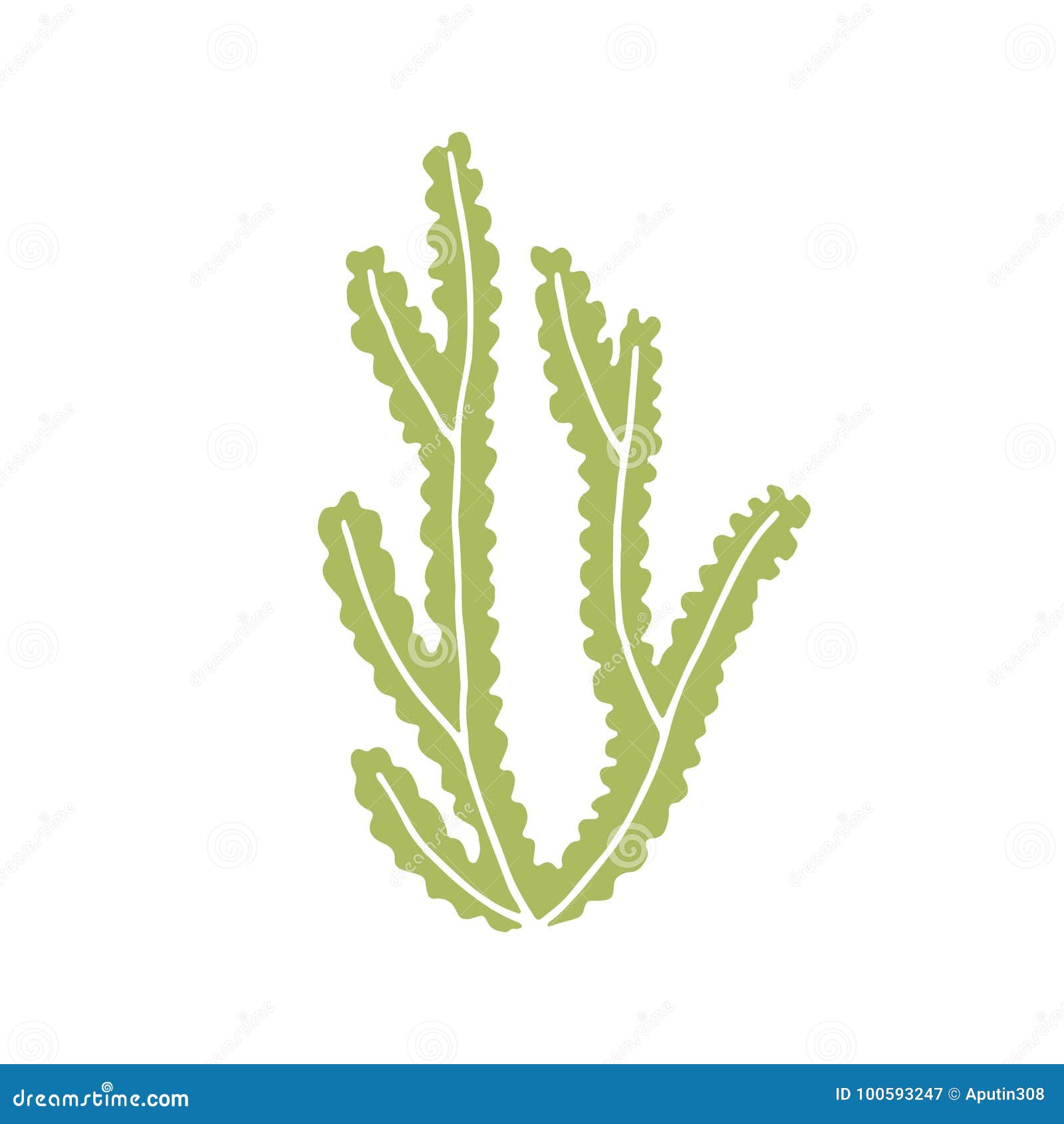 Green Alga Vector Icon Isolated Stock Vector - Illustration of leaf ...