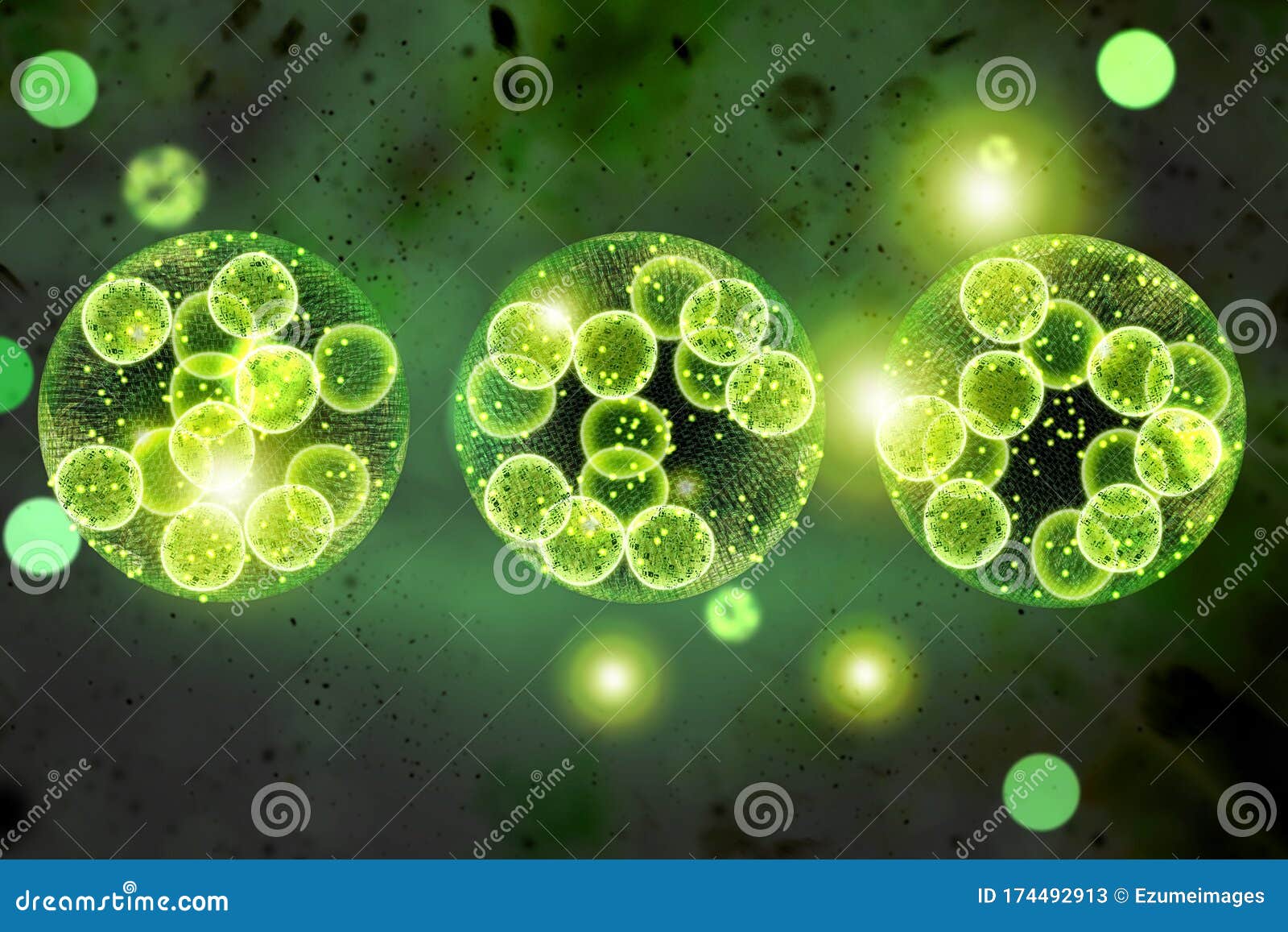 Green Algae Cells 3D Illustration Stock Illustration - Illustration of ...