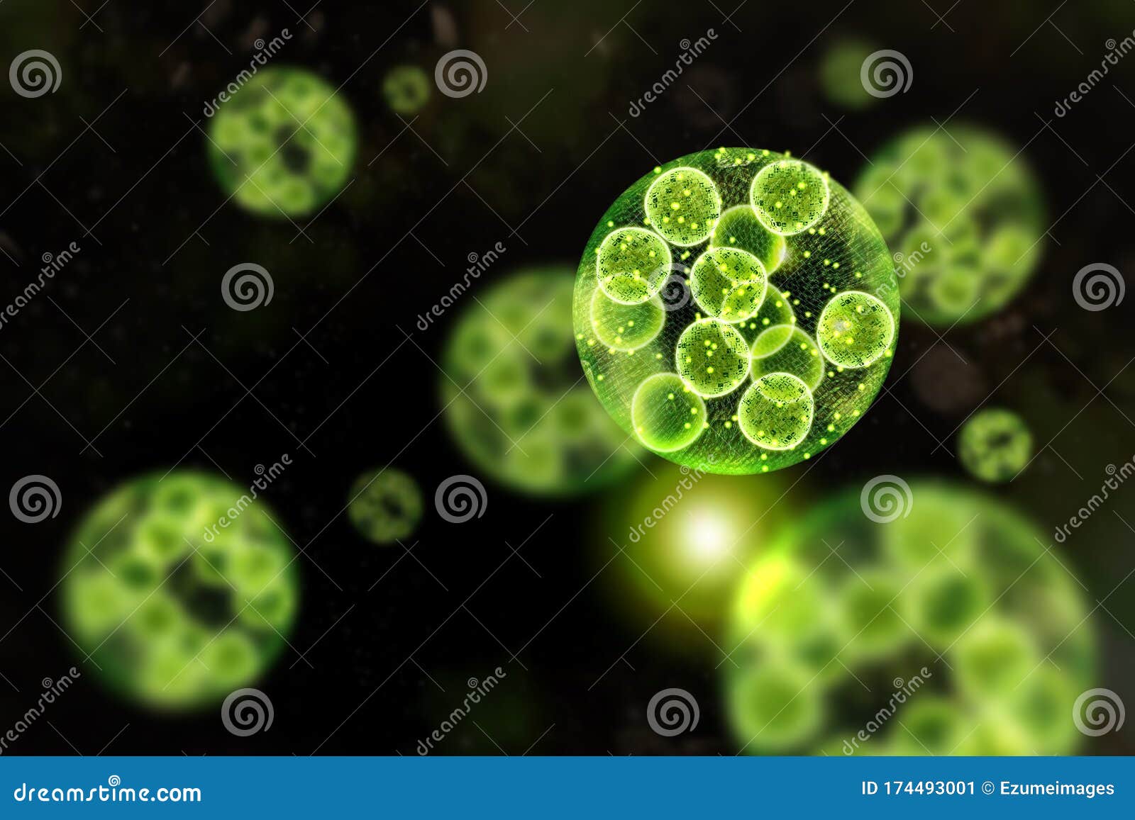 Green Algae Cells 3D Illustration Stock Illustration - Illustration of ...