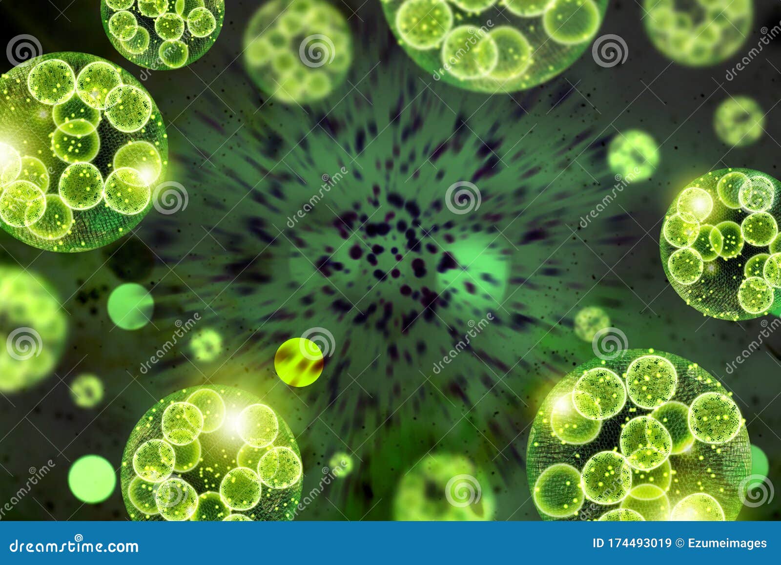 Green Algae Cells 3D Illustration Stock Illustration - Illustration of ...