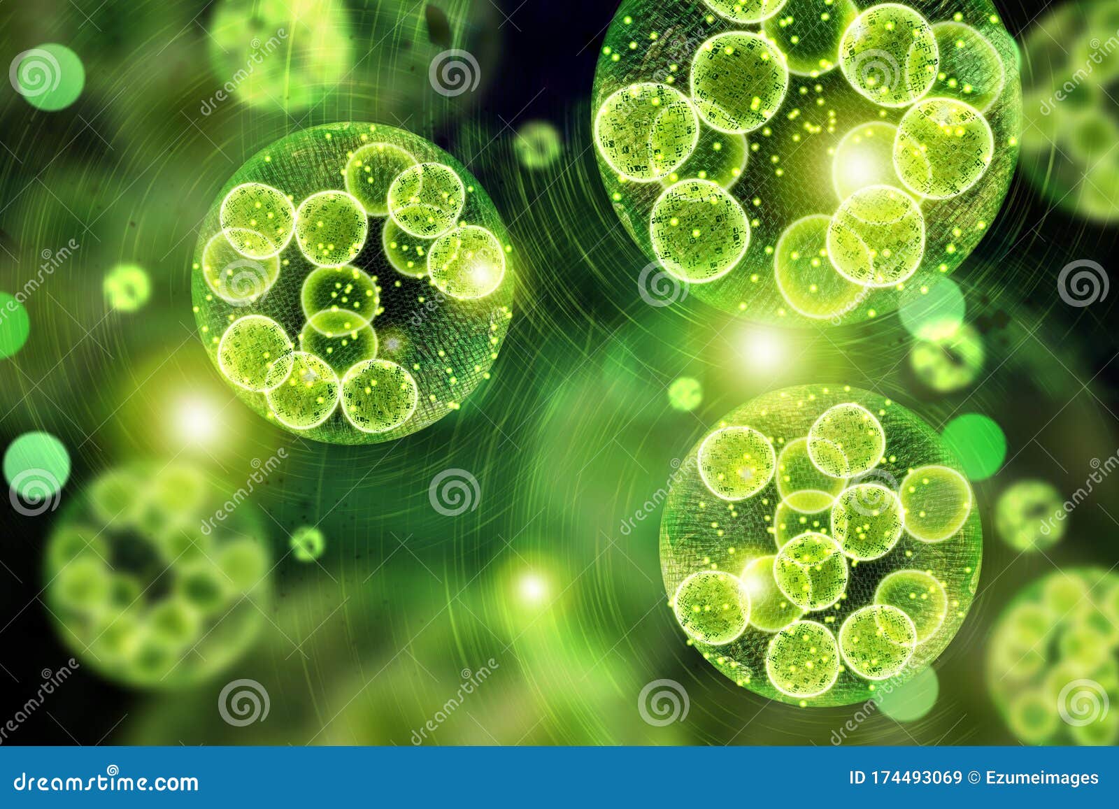 Green Algae Cells 3D Illustration Stock Illustration - Illustration of ...