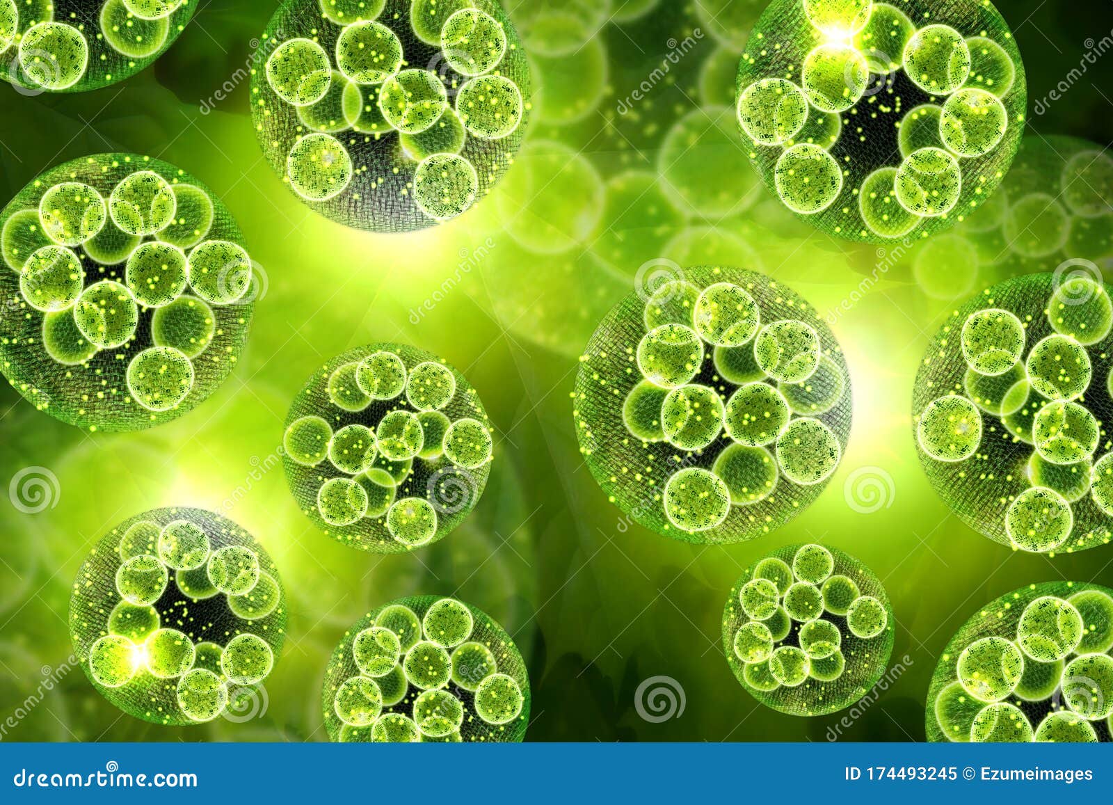 Green Algae Cells 3D Illustration Stock Illustration - Illustration of ...