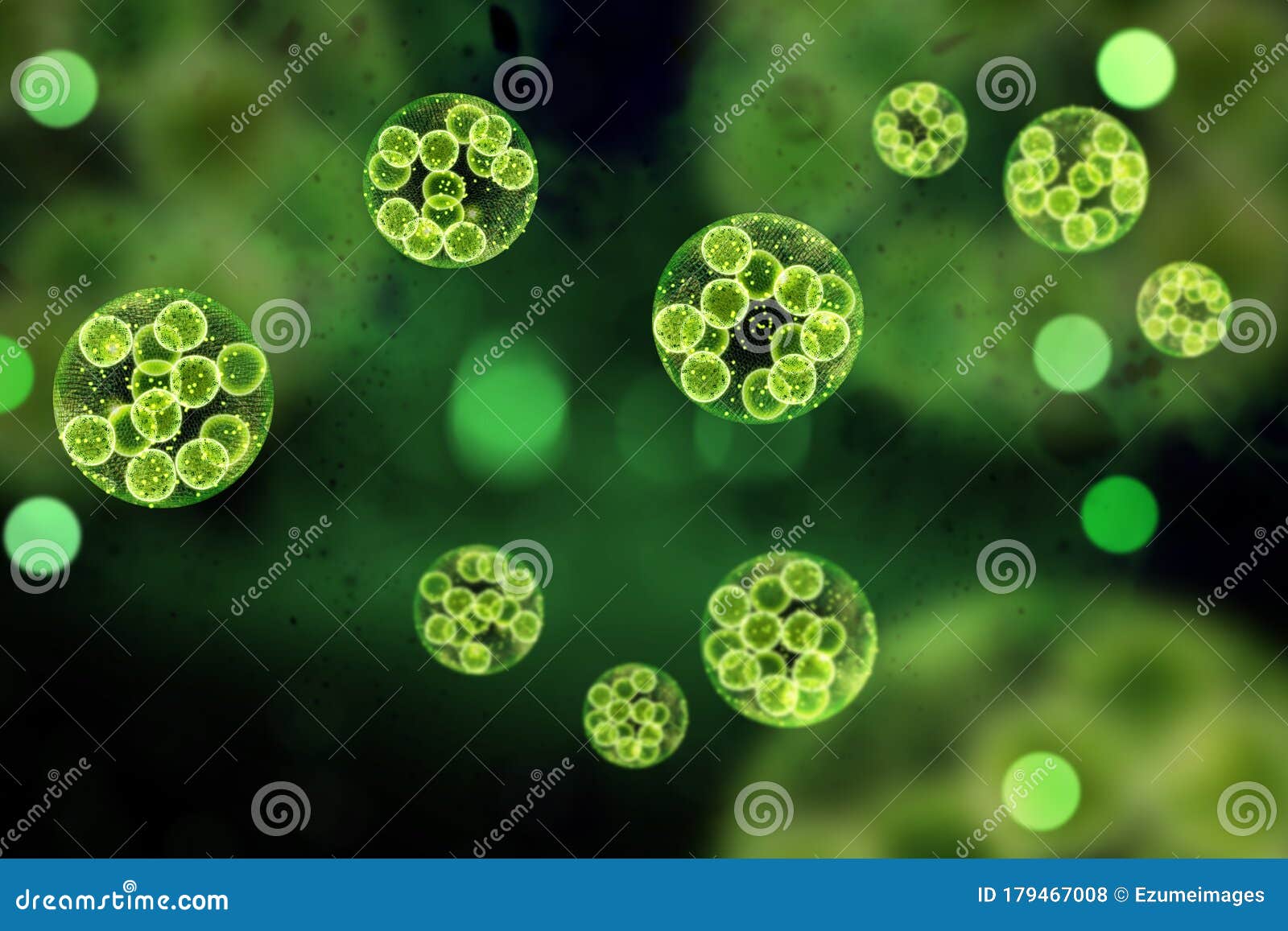 Green Algae Cells 3D Illustration Stock Illustration - Illustration of ...