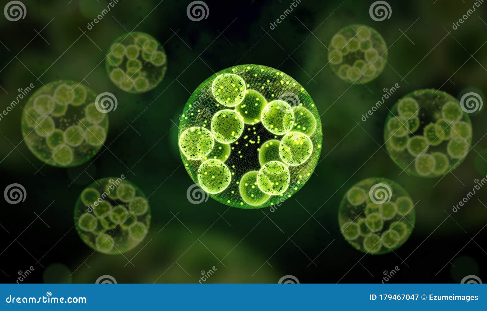 Green Algae Cells 3D Illustration | CartoonDealer.com #179467047
