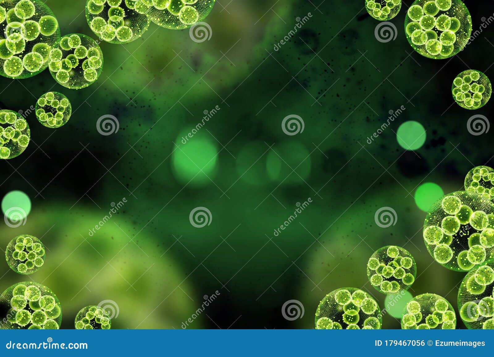 Green Algae Cells 3D Illustration Stock Illustration - Illustration of ...
