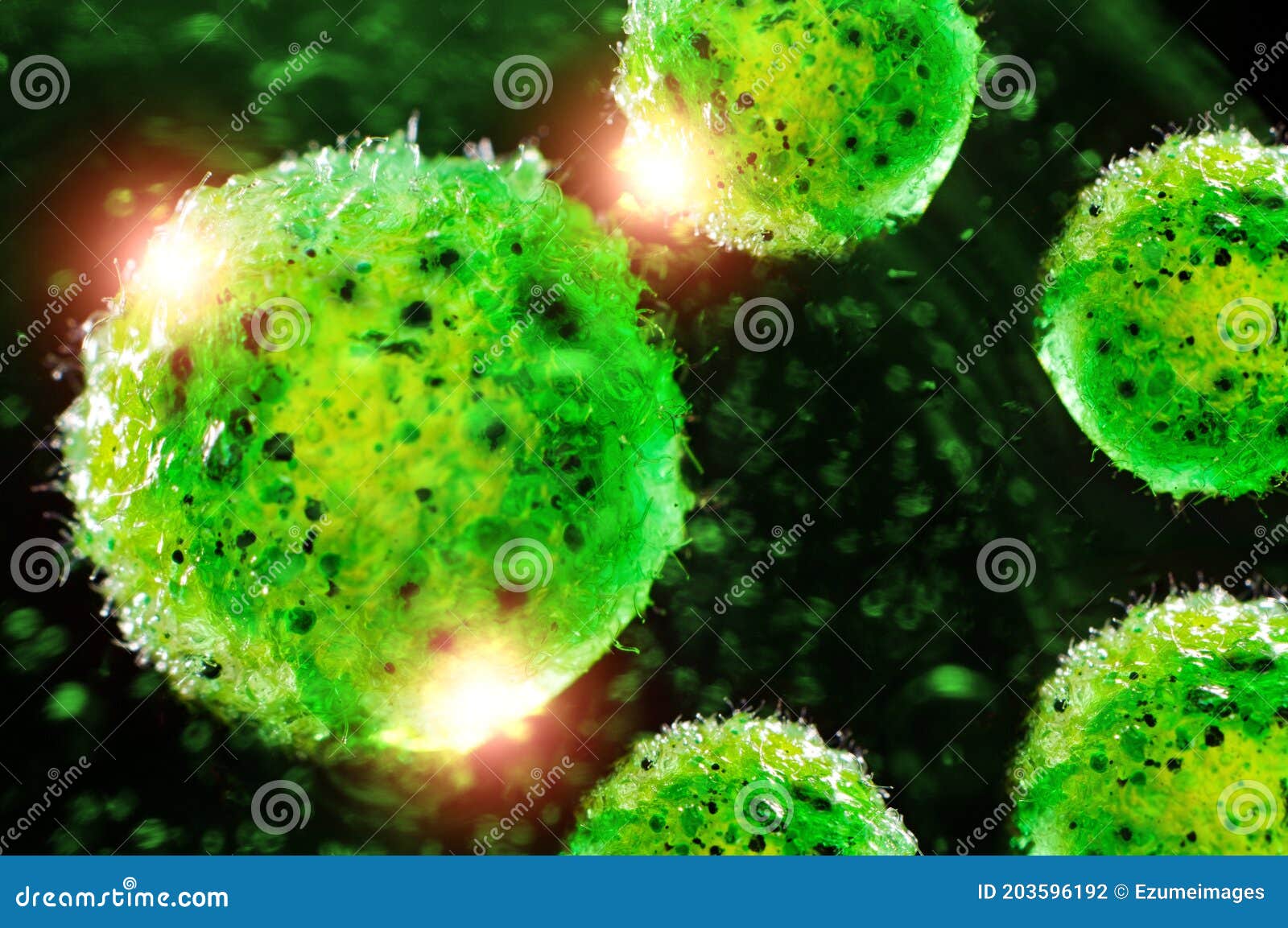 Green Algae Cells 3D Illustration Stock Photo - Image of algal, group ...