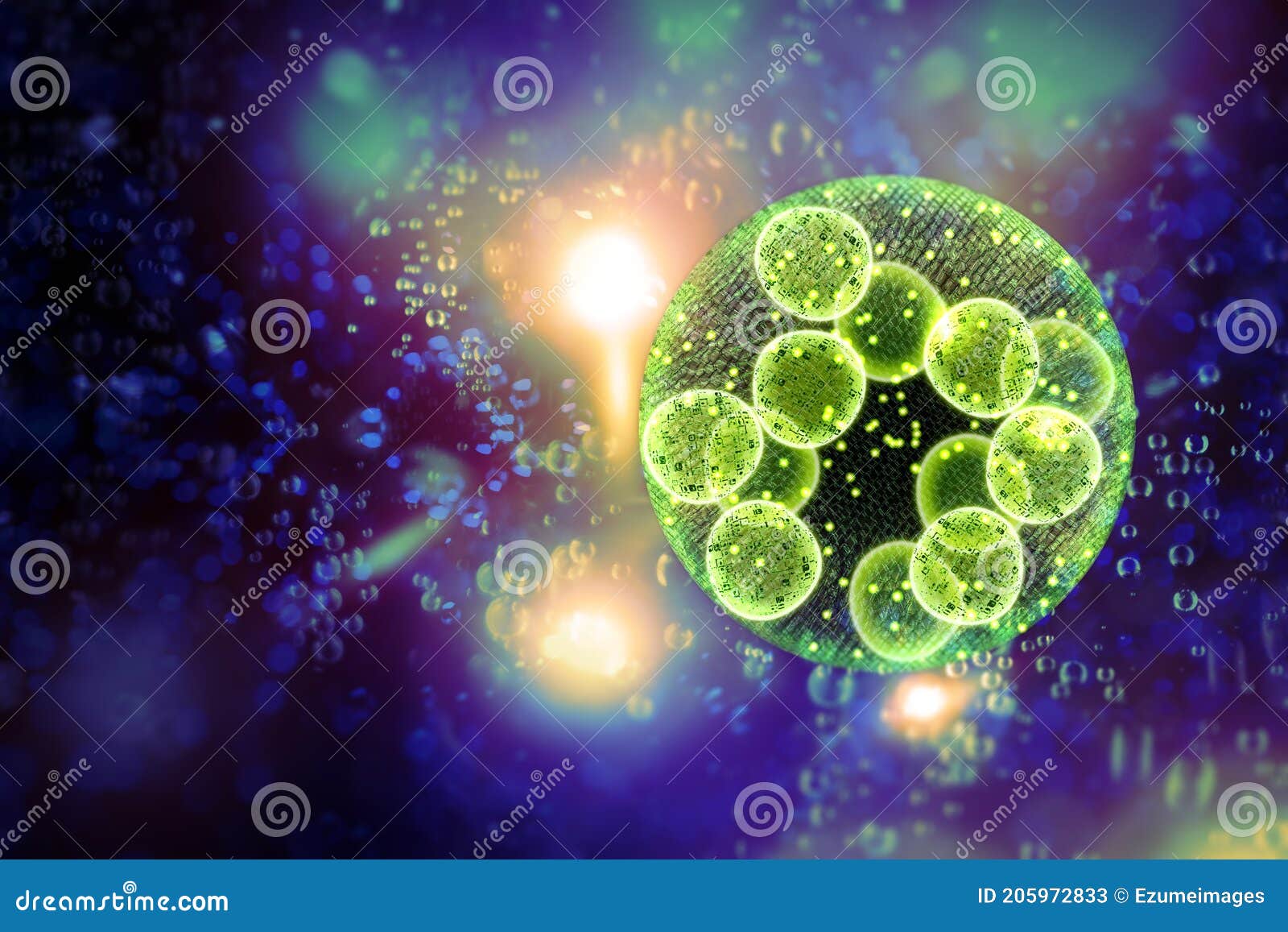Green Algae Cells 3D Illustration Stock Illustration - Illustration of ...