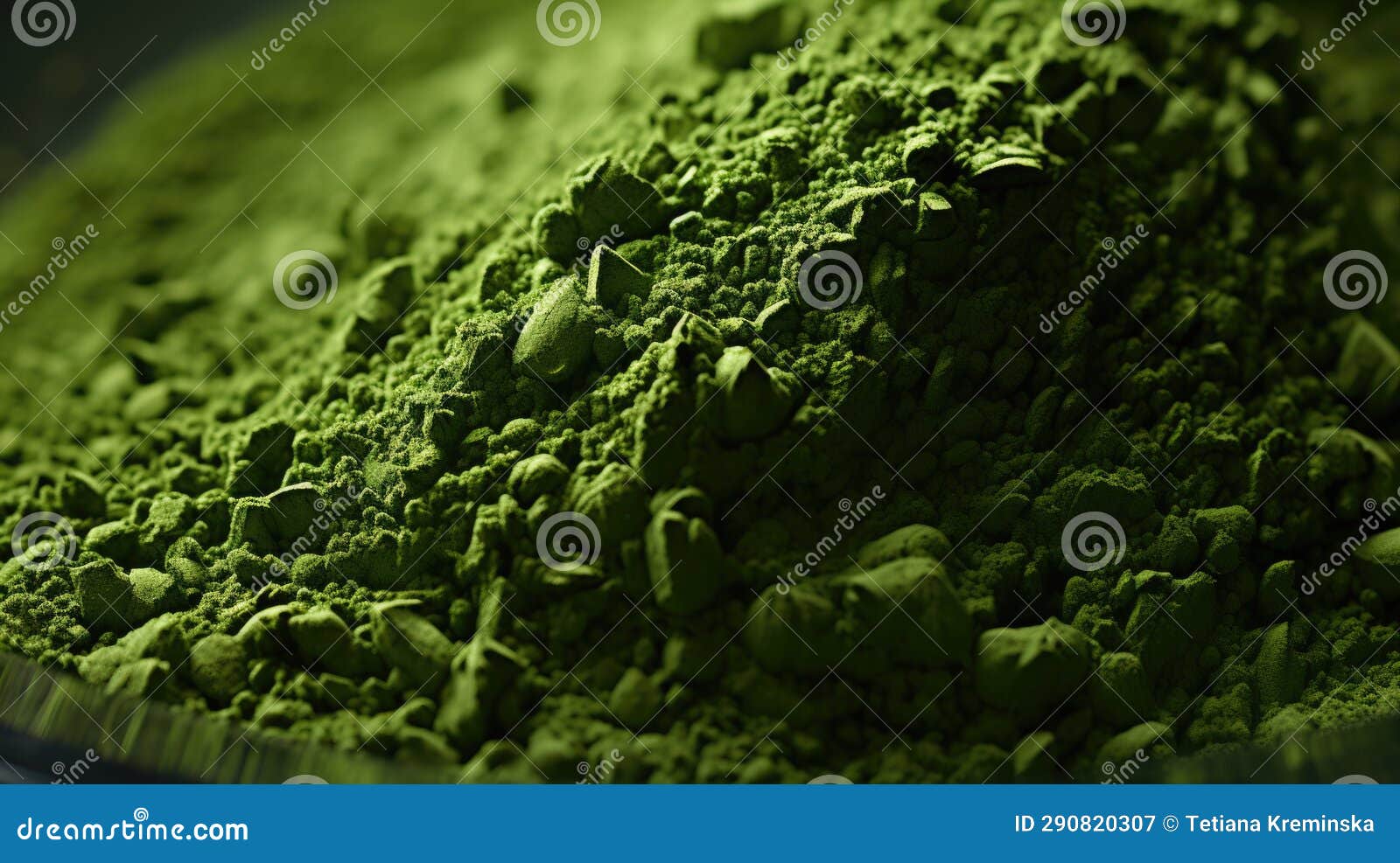 Green Algae Chlorophyta Spirulina Stock Image - Image of superfood ...