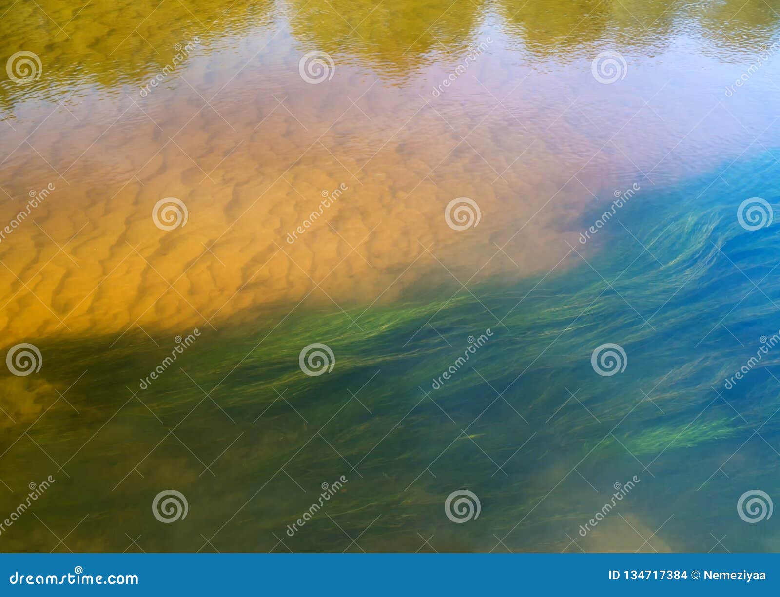 Green algae in water stock photo. Image of season, green - 134717384