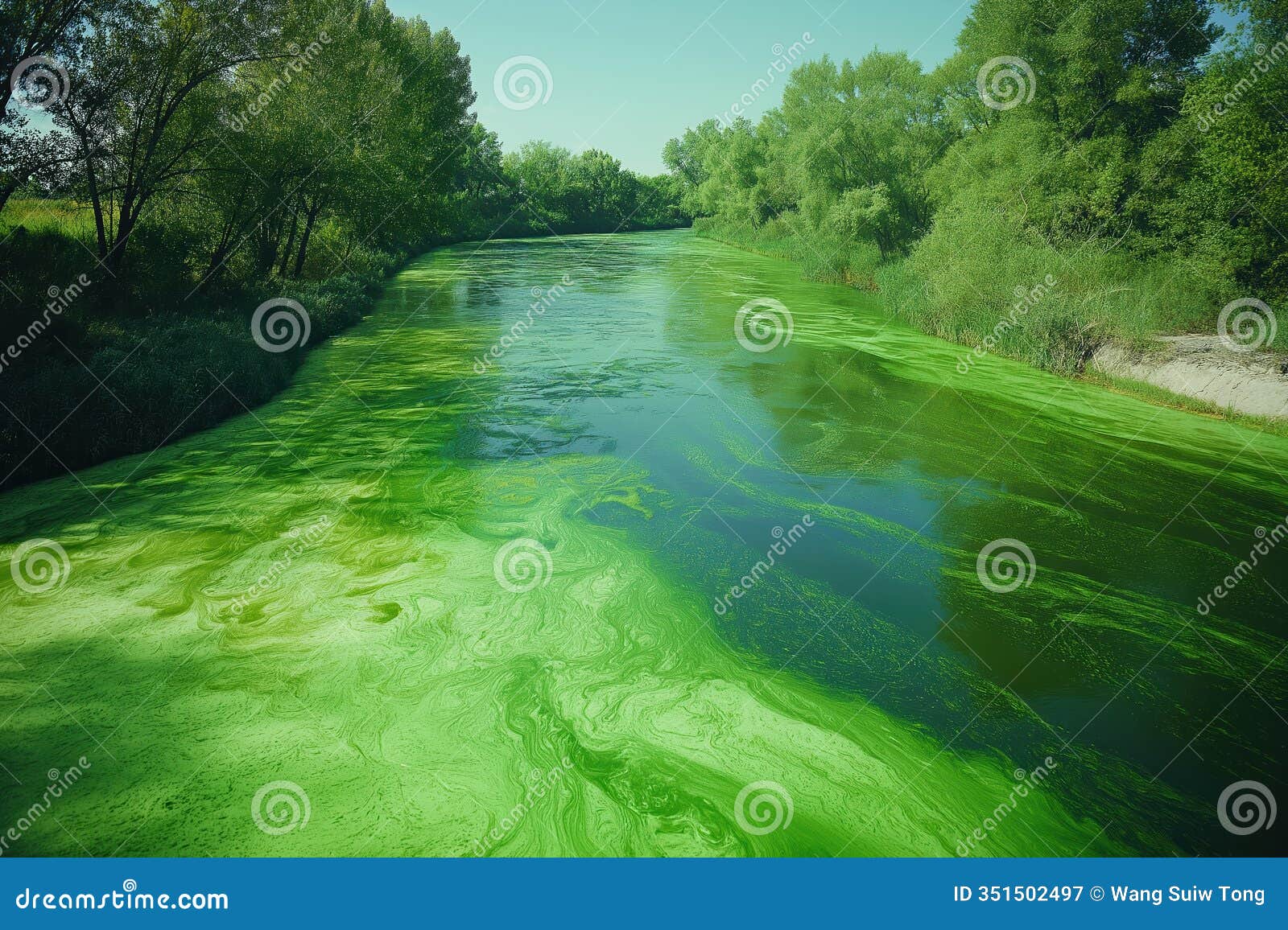 Harmful Algae Bloom Threatens Green River Lake Ecosystem A Visual ...