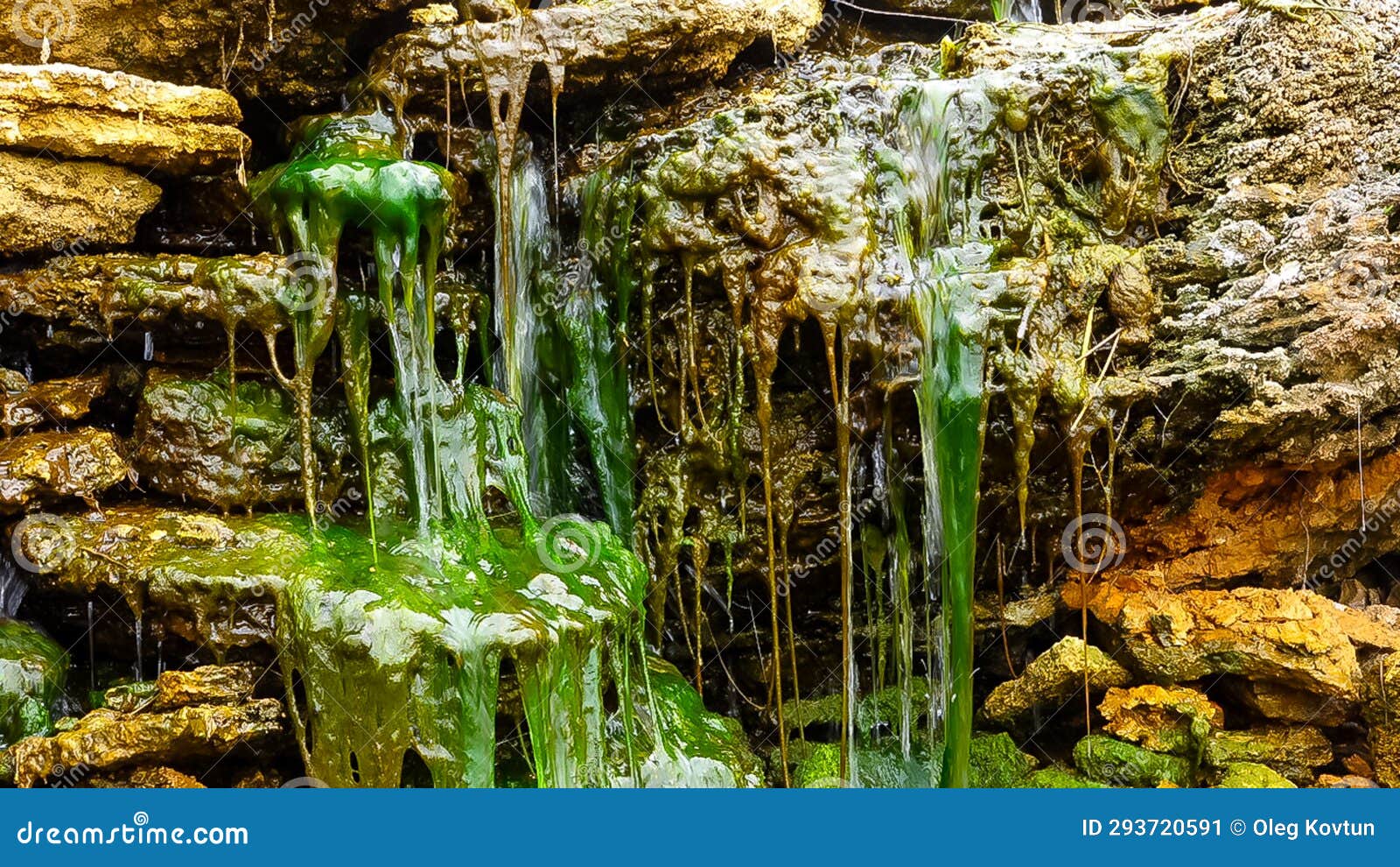 Green Algae (Enteromorpha, Ulva) Grows in a Small Waterfall with Salt ...