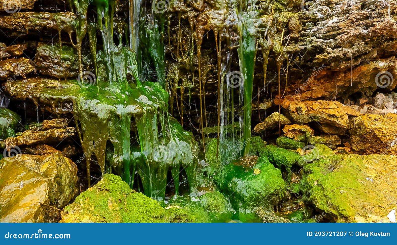 Green Algae (Enteromorpha, Ulva) Grows in a Small Waterfall with Salt ...