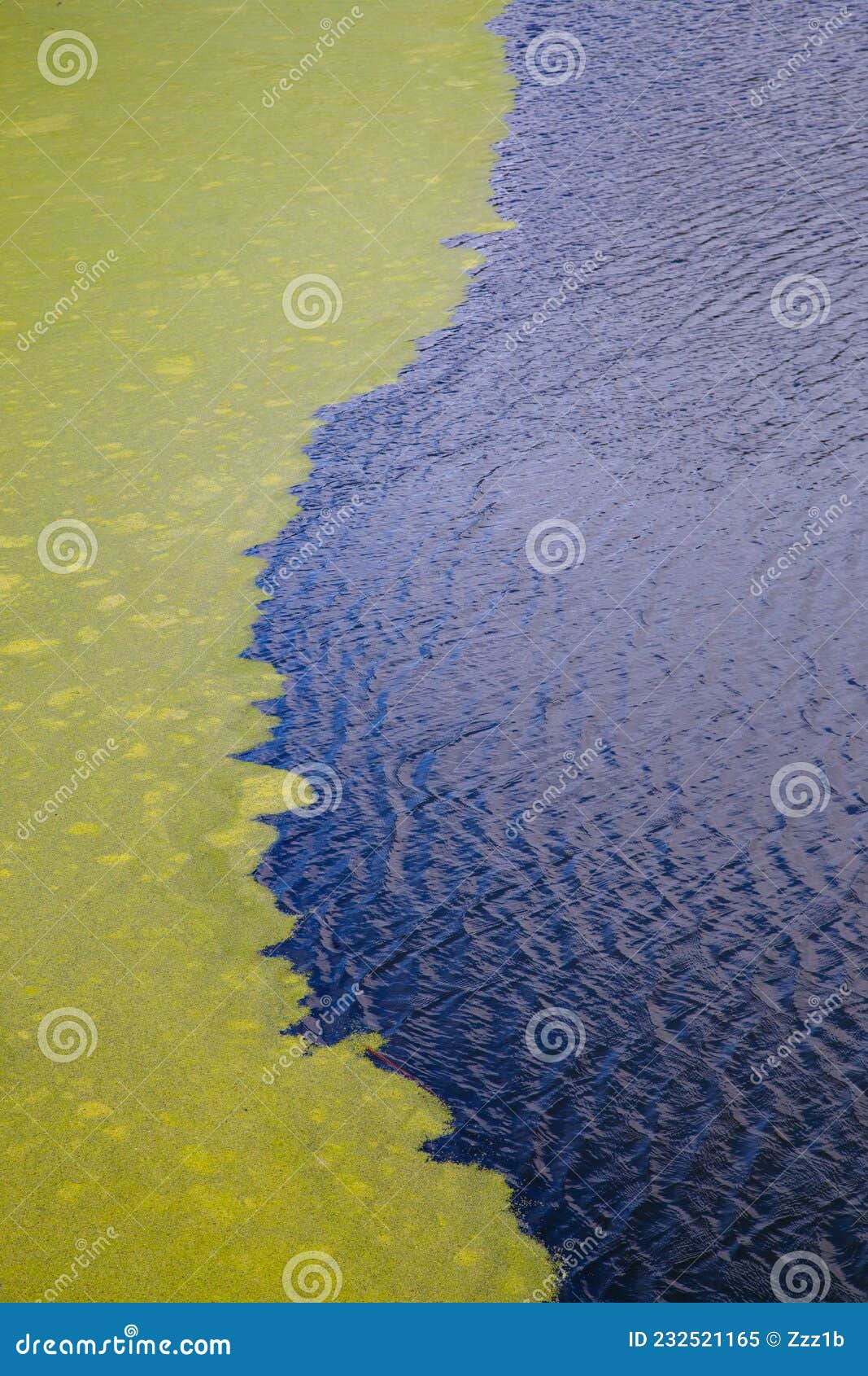 Floating Bog Edge Photos - Free & Royalty-Free Stock Photos from Dreamstime