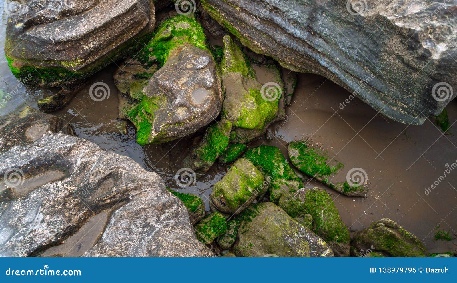 Green algae on the rocks stock image. Image of beauty - 138979795