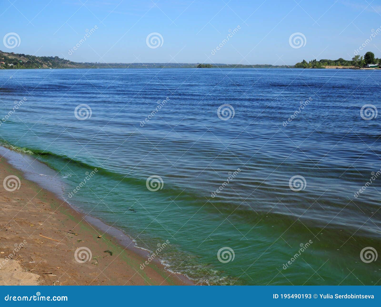 Green Algae on the Surface of the Water. Blooming Water As a ...