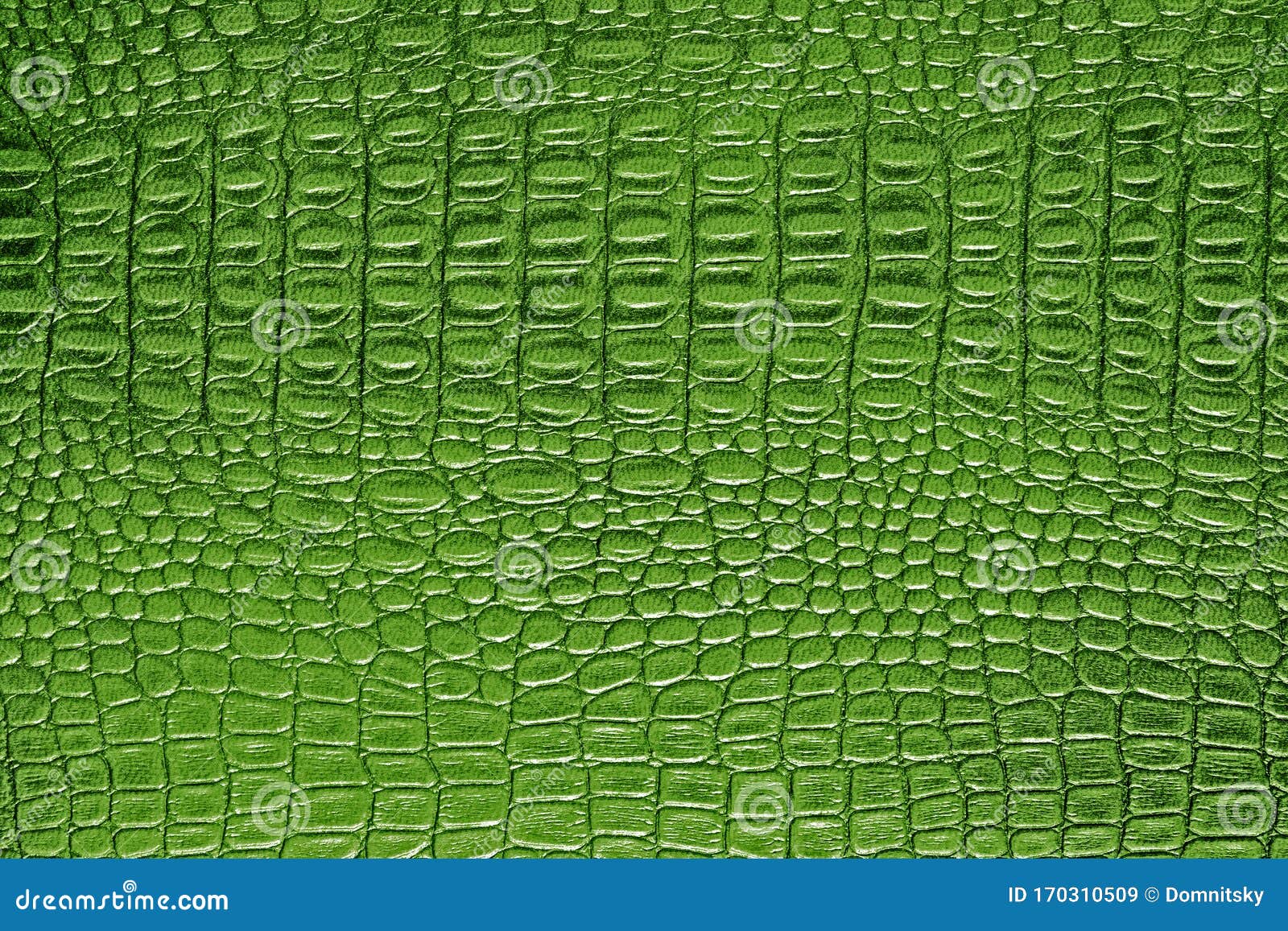 Green Alligator Skin Texture For Background Royalty-Free Stock ...