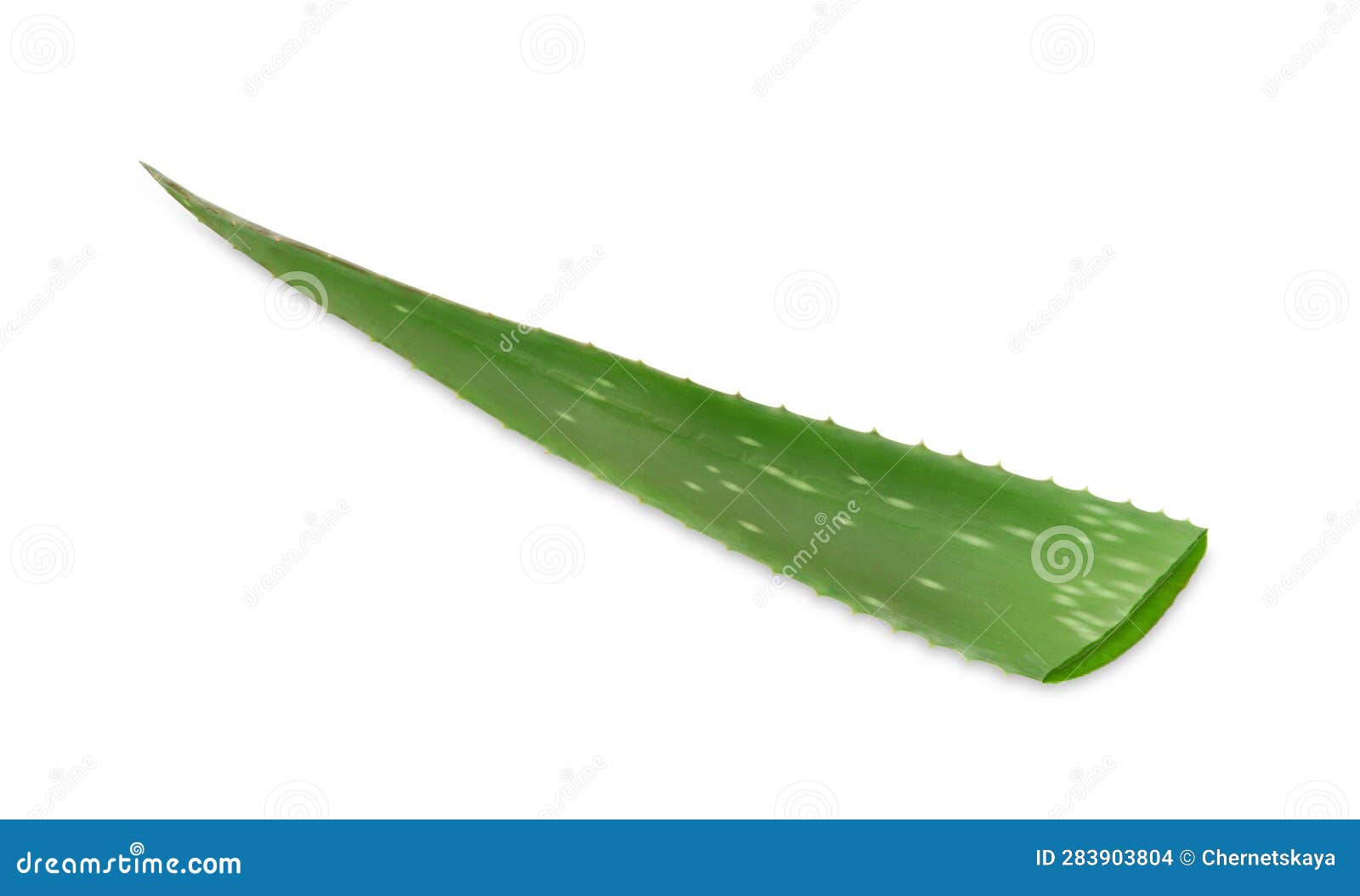 Green Aloe Vera Leaf Isolated on White Stock Photo - Image of natural ...